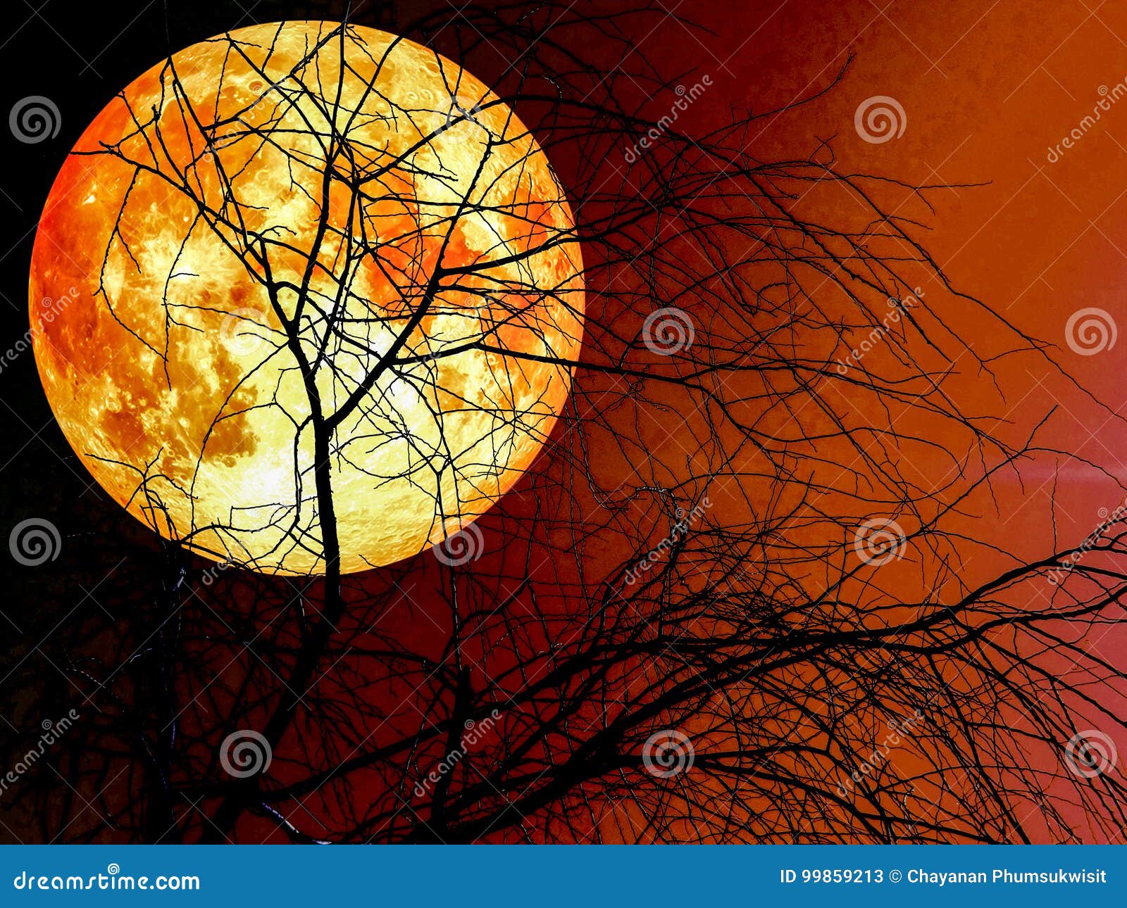 Silhouete Dead Dry Tree Full Blood Moon Red Sky Background Stock ...