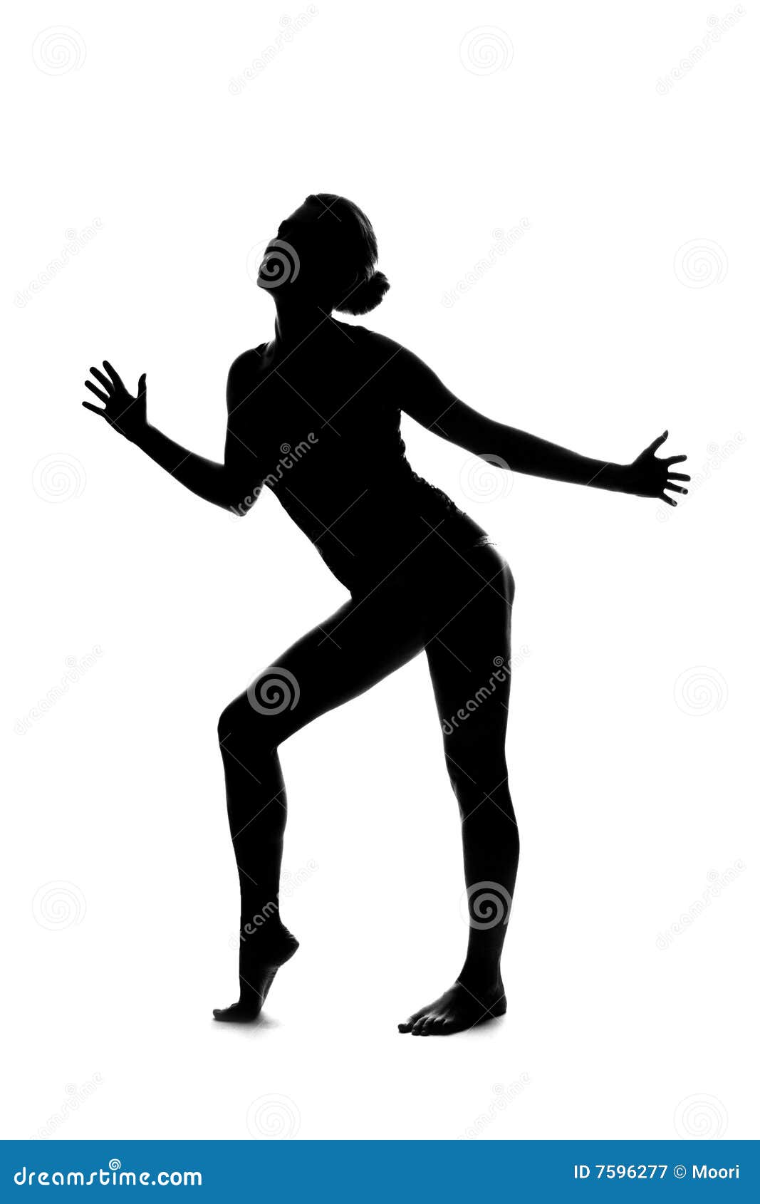 Silhouette stock image. Image of style, woman, posing - 7596277