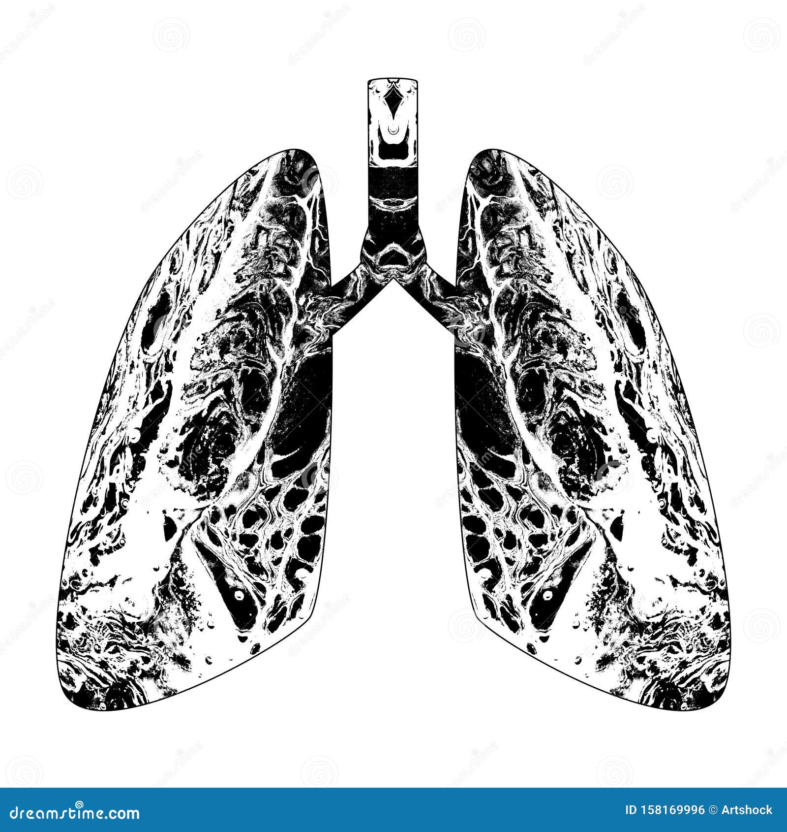 Rotten Lungs Stock Photography | CartoonDealer.com #19090556
