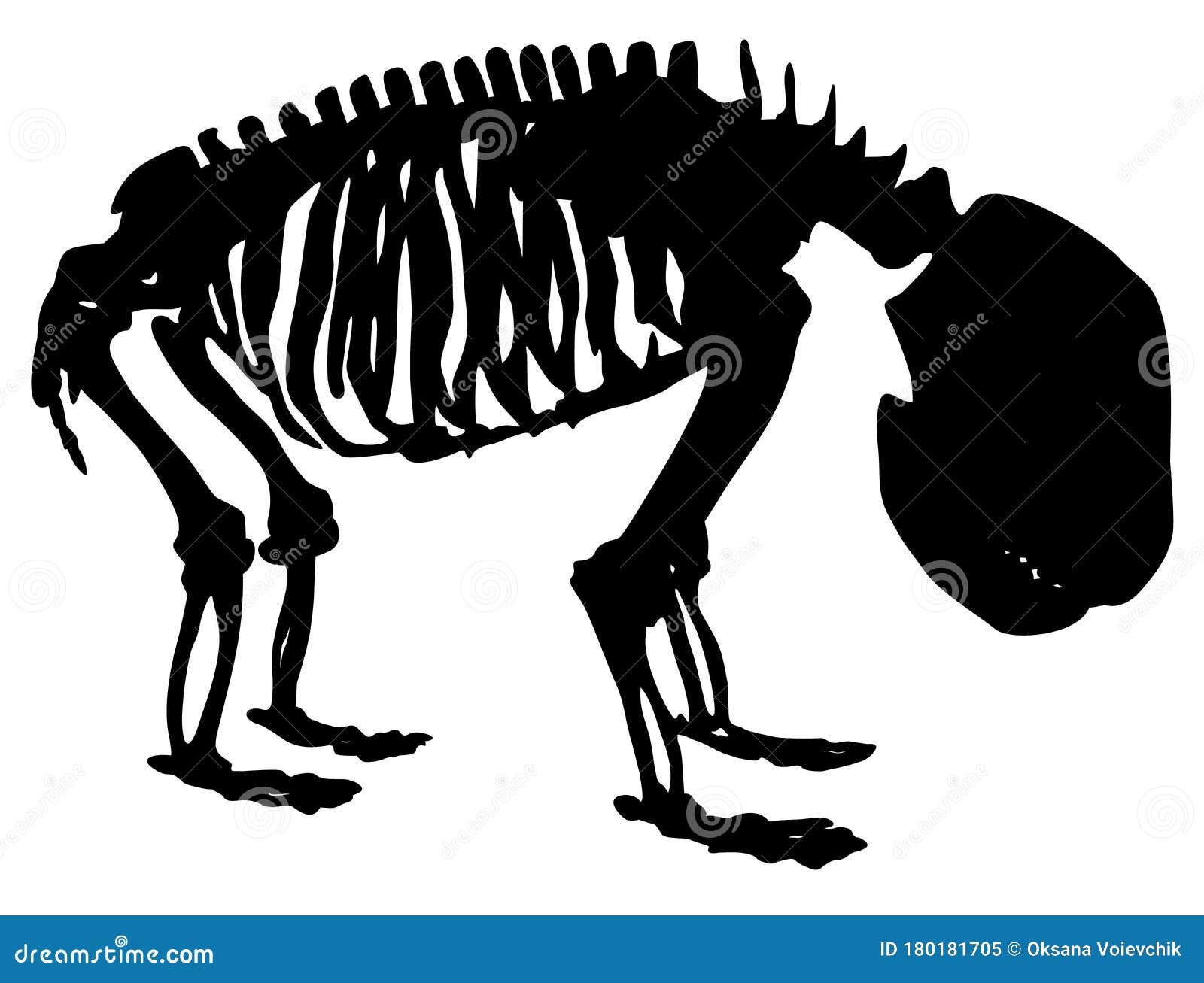 Skeleton of a panda vector stock vector. Illustration of black - 180181705