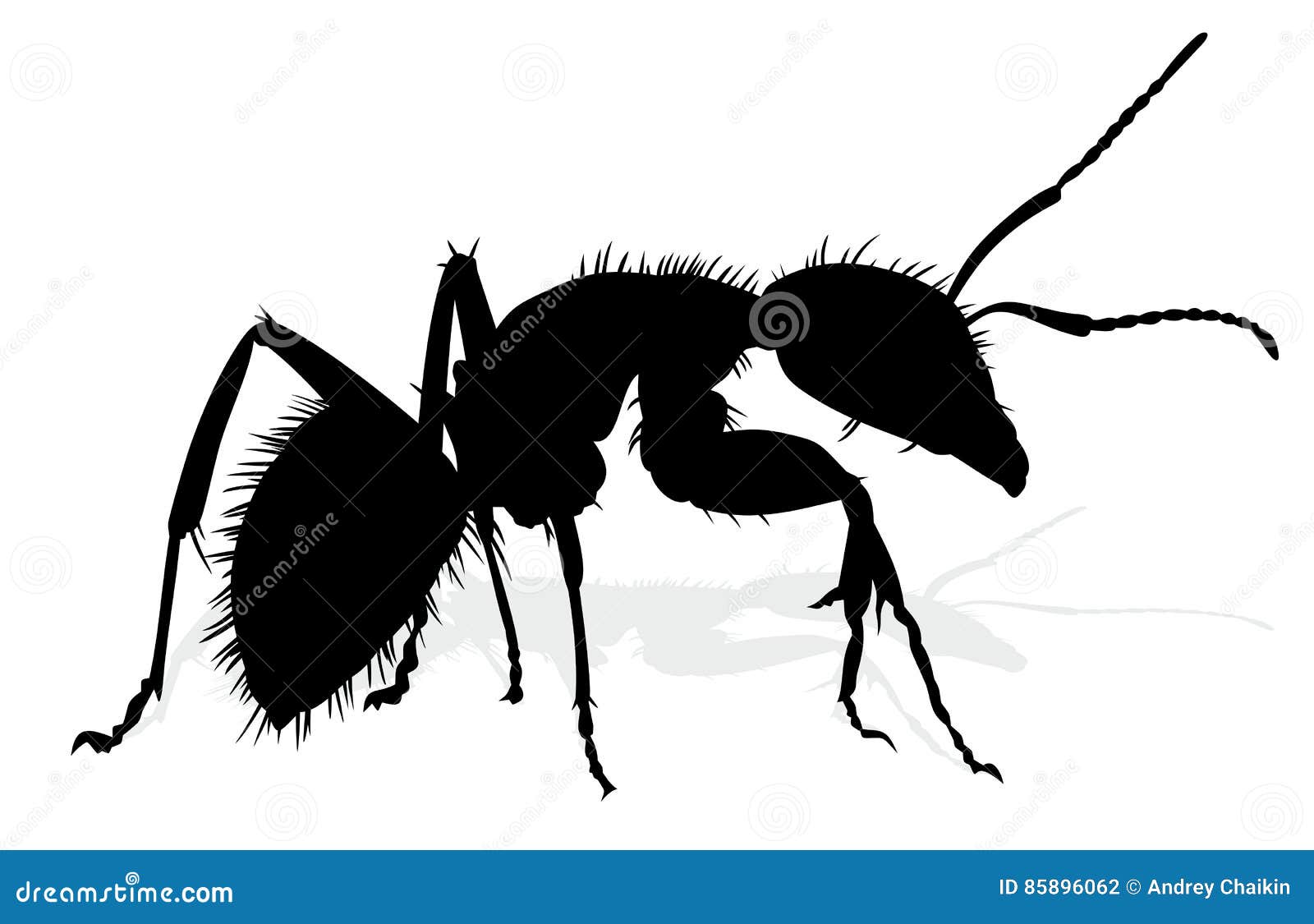 Silhouette of ant. stock vector. Illustration of shadown - 85896062