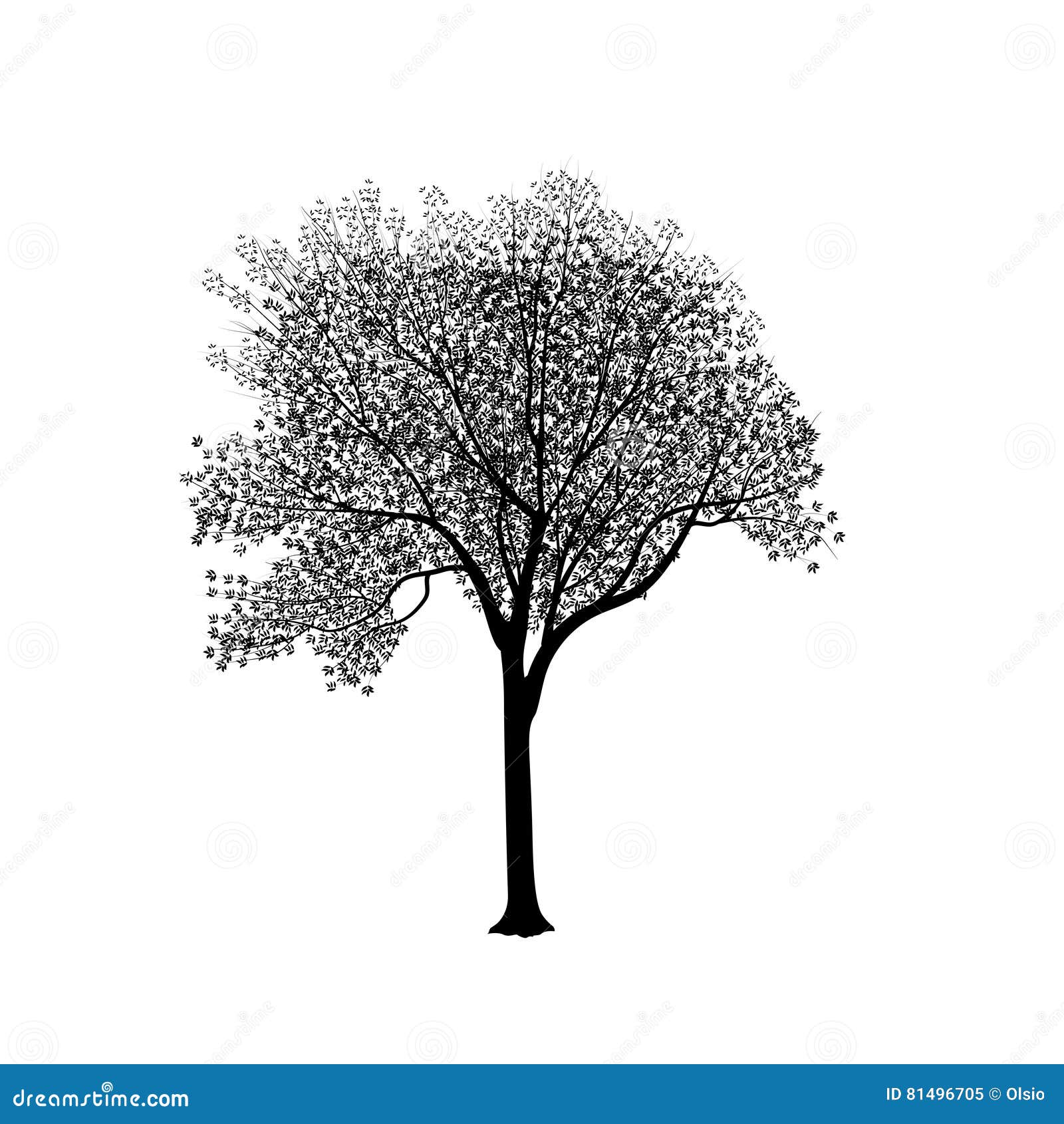 Silhouette: an Ash-tree with Leaves Stock Vector - Illustration of ...