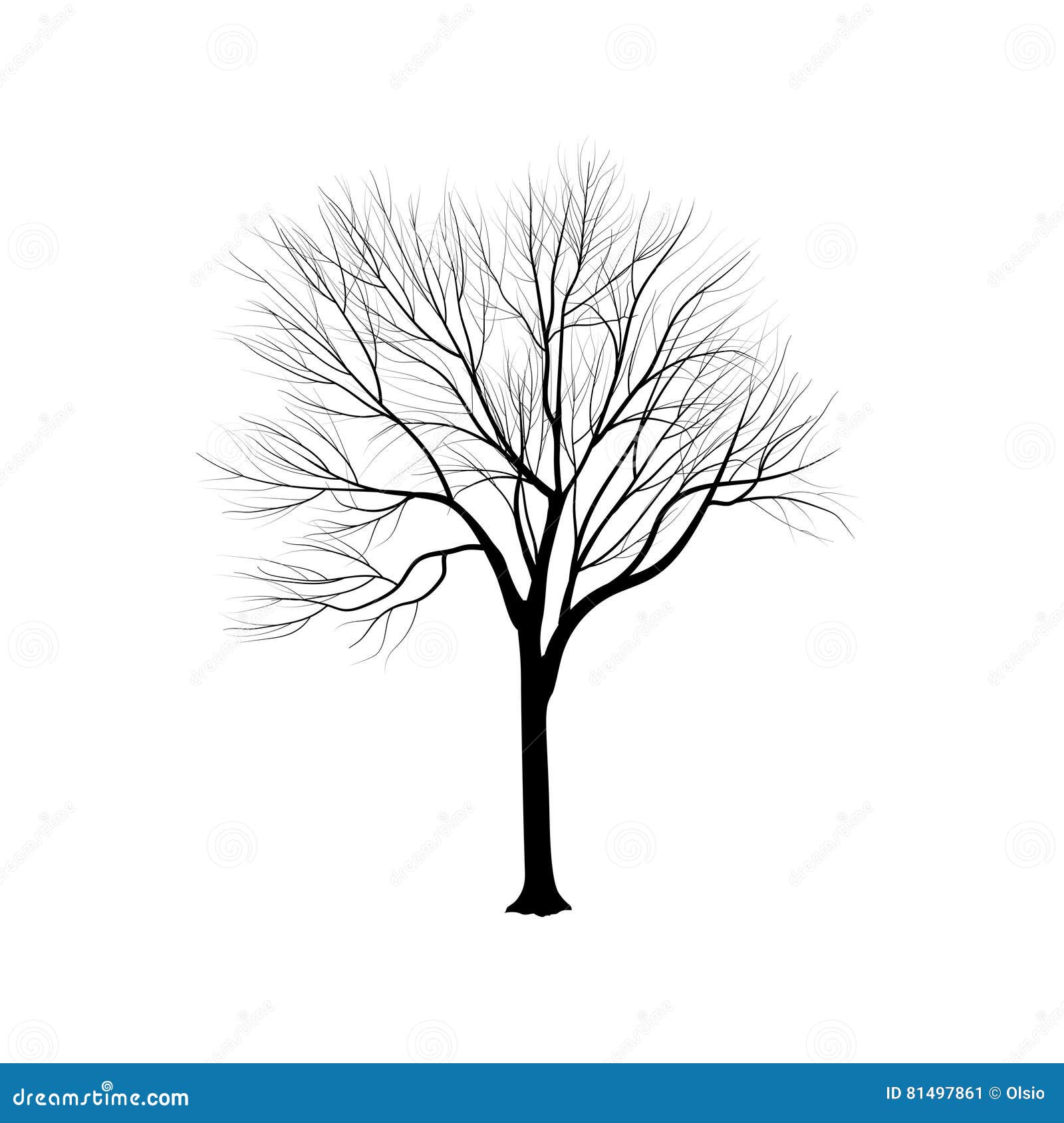 Silhouette: an Ash-tree without Leaves Stock Vector - Illustration of ...