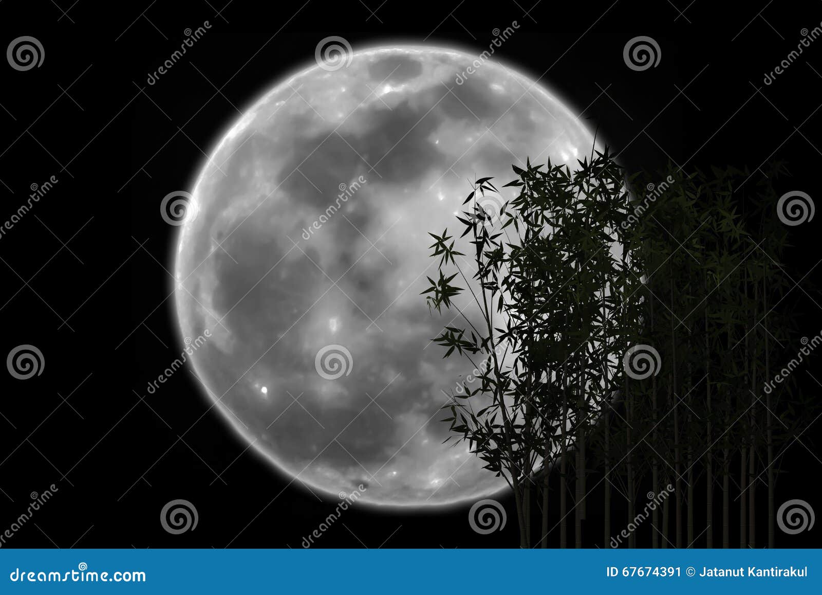 Silhouette Bamboo Shadow Eclipsed the Moon Stock Image - Image of black ...