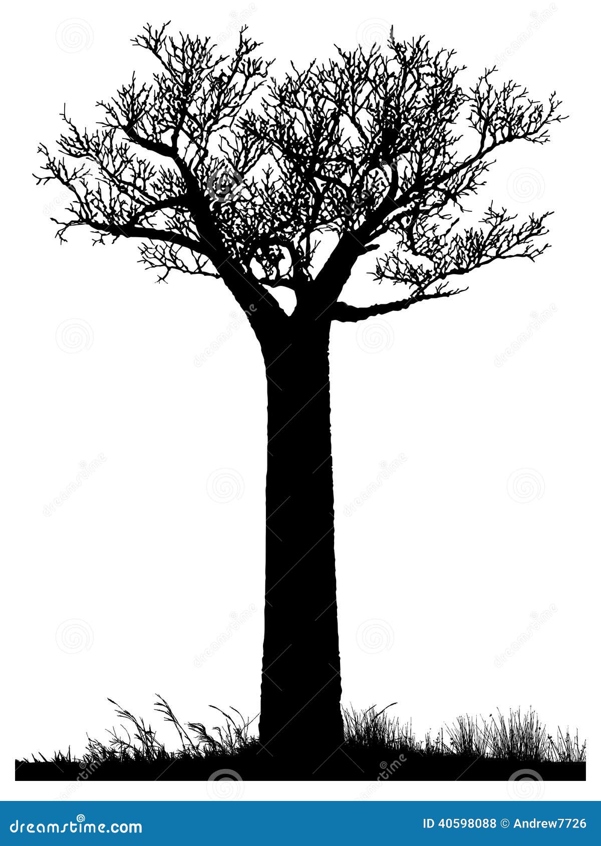 Silhouette Of A Baobab Tree Stock Photo | CartoonDealer.com #40598088