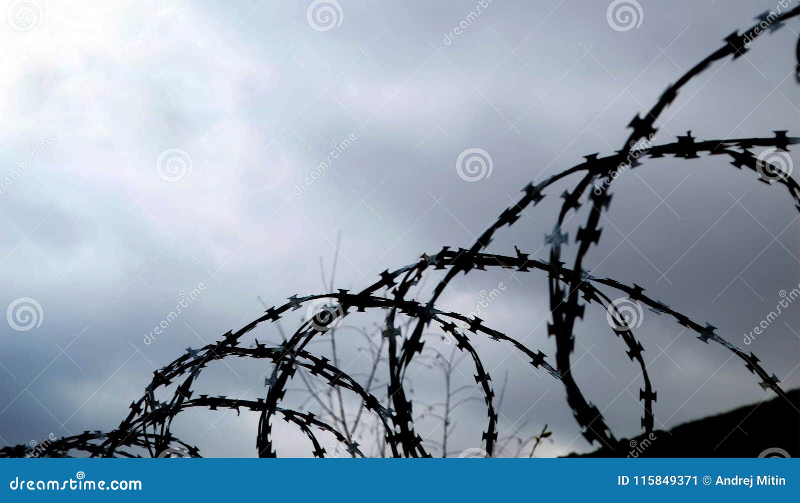 Silhouette Of Barbed Wire Royalty-Free Stock Photo | CartoonDealer.com ...