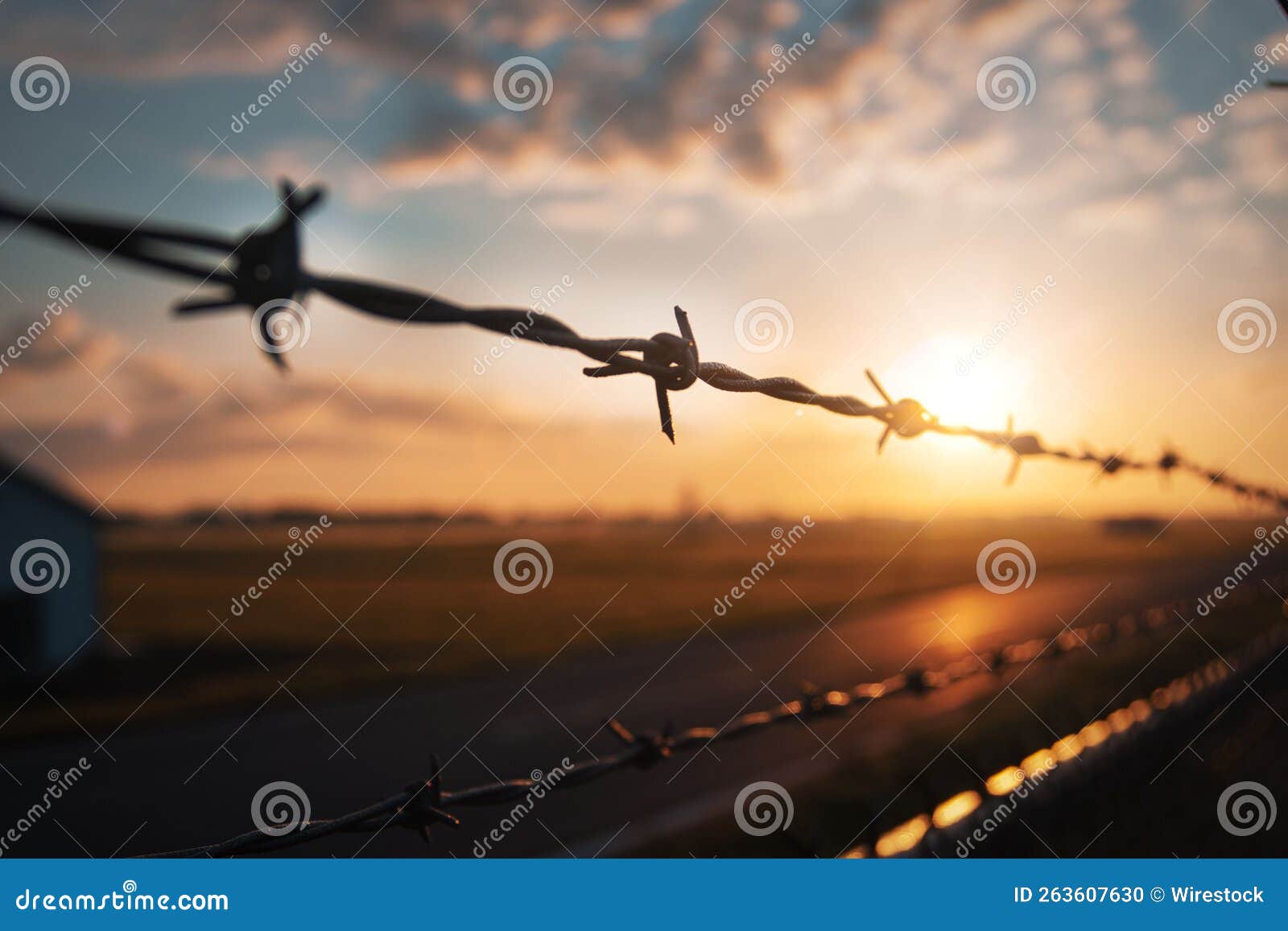Silhouette of Barbed Wire on the Sunset Stock Photo - Image of twilight ...