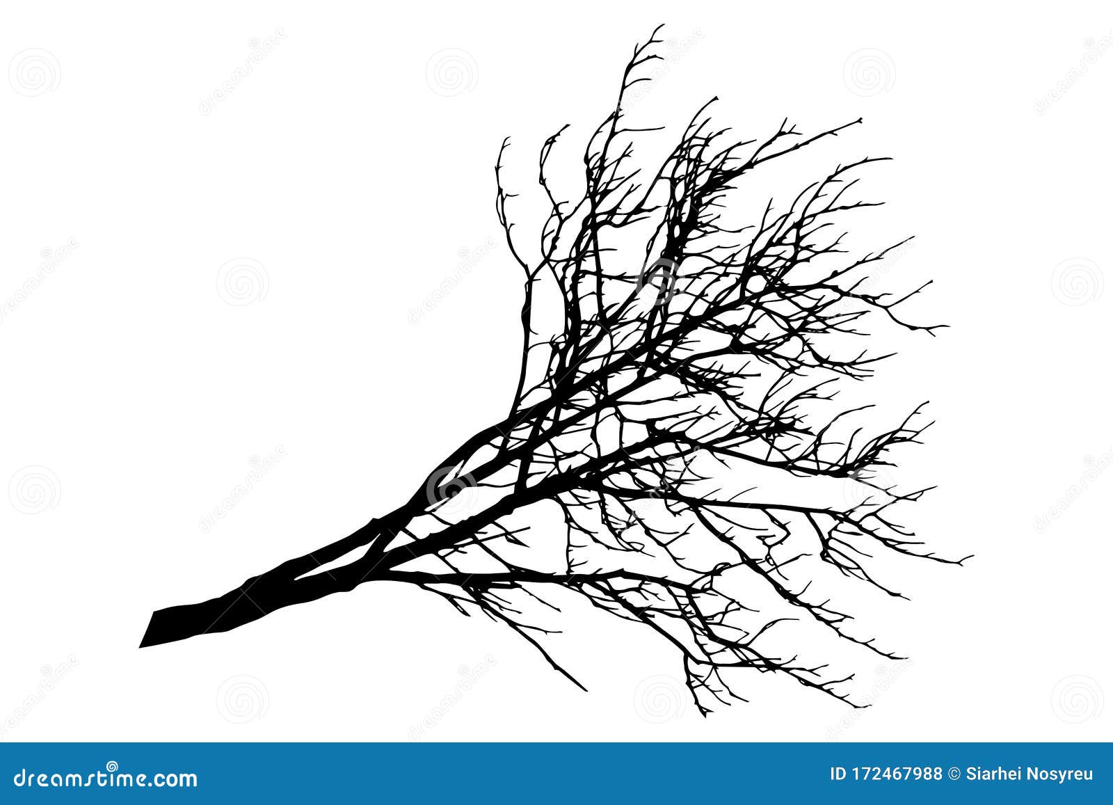 Silhouette of Bare Branch of Chestnut Tree. Vector Illustration Stock ...