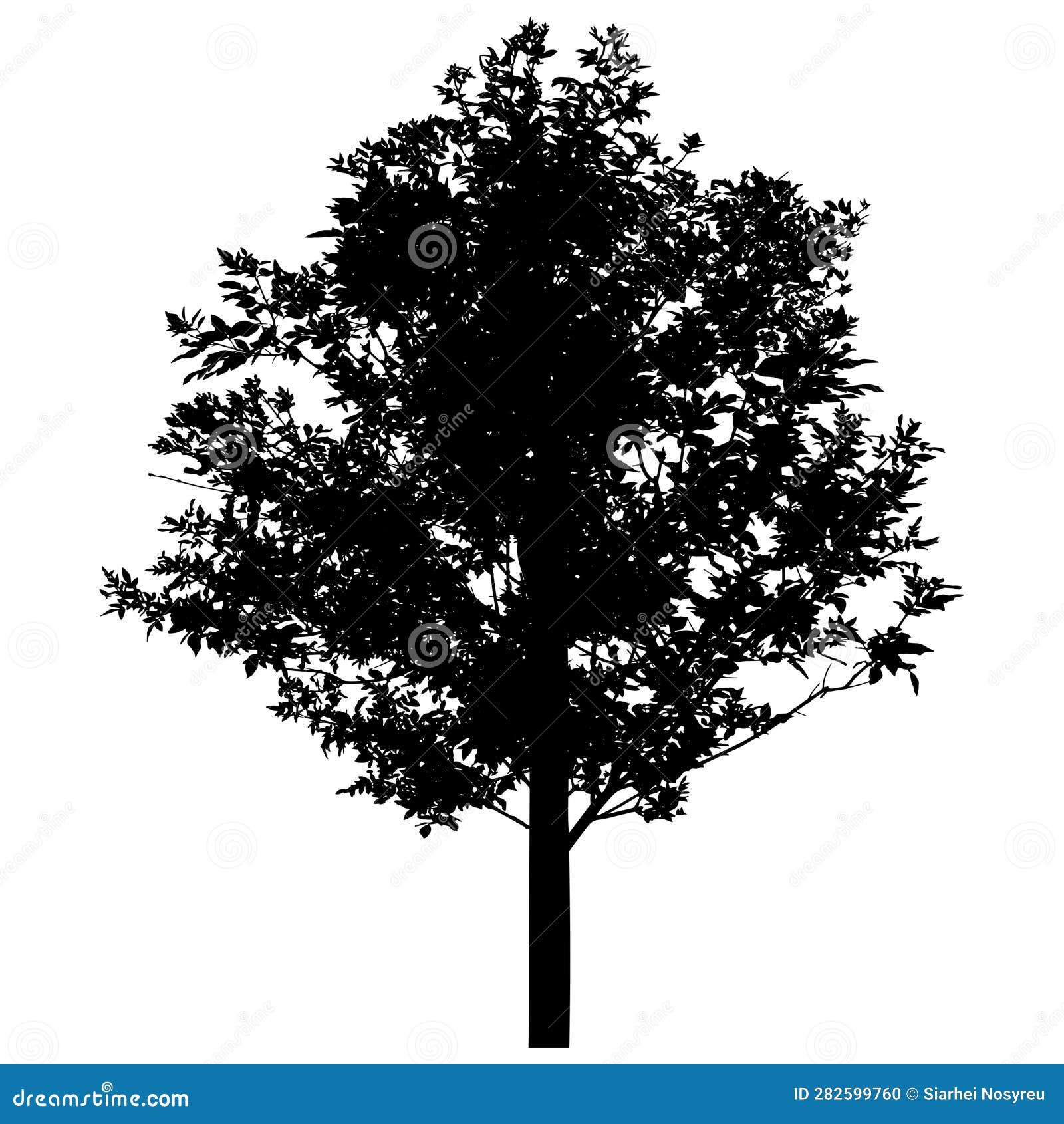 Silhouette of Beautiful Ash Tree. Vector Illustration Stock Vector ...