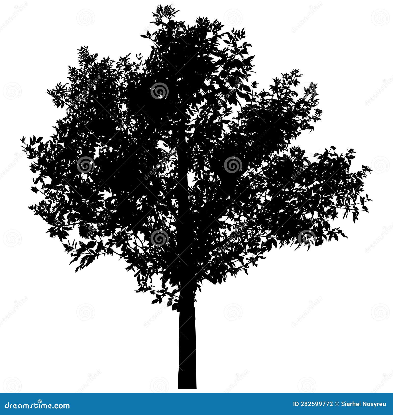 Silhouette of Beautiful Ash Tree. Vector Illustration Stock Vector ...
