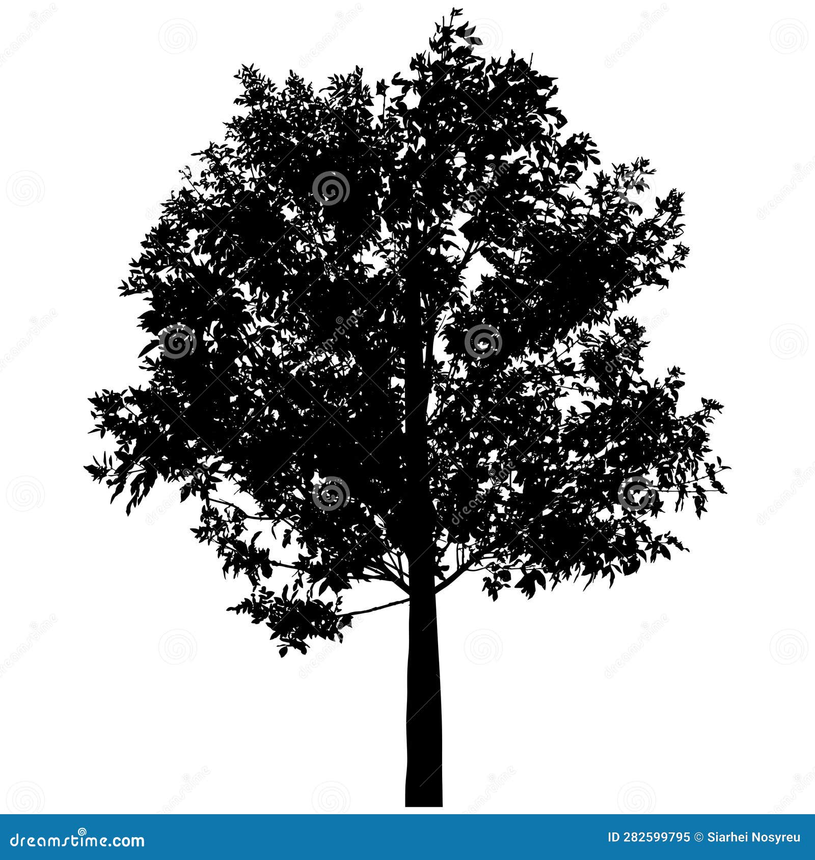 Silhouette of Beautiful Ash Tree. Vector Illustration Stock Vector ...