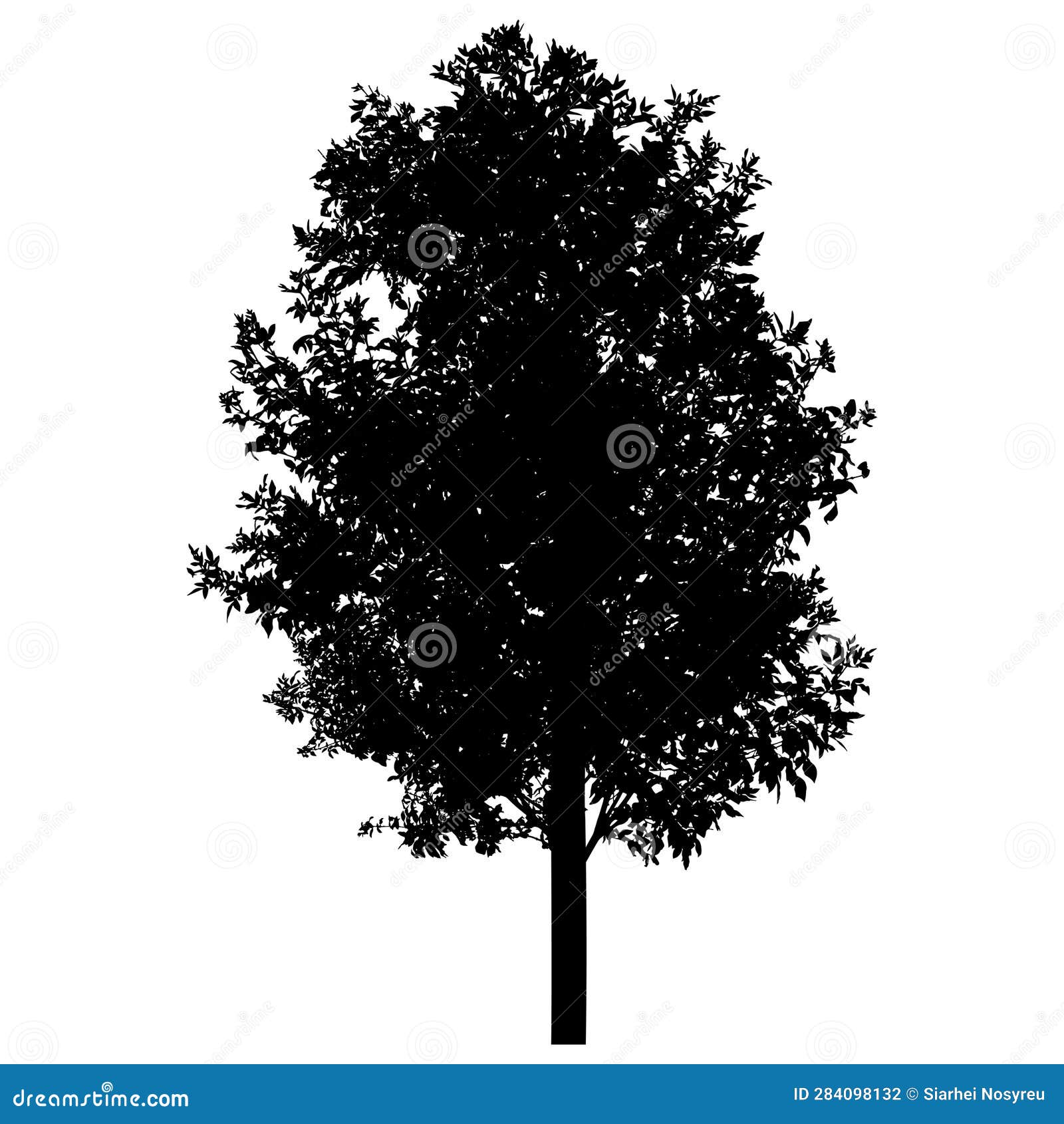 Silhouette of Beautiful Ash Tree. Vector Illustration Stock Vector ...