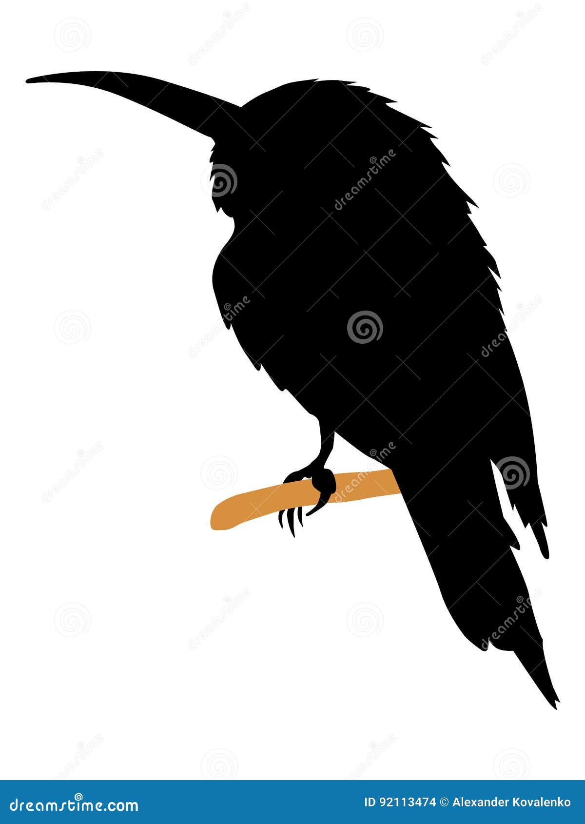 Silhouette of bee-eater stock illustration. Illustration of nature ...