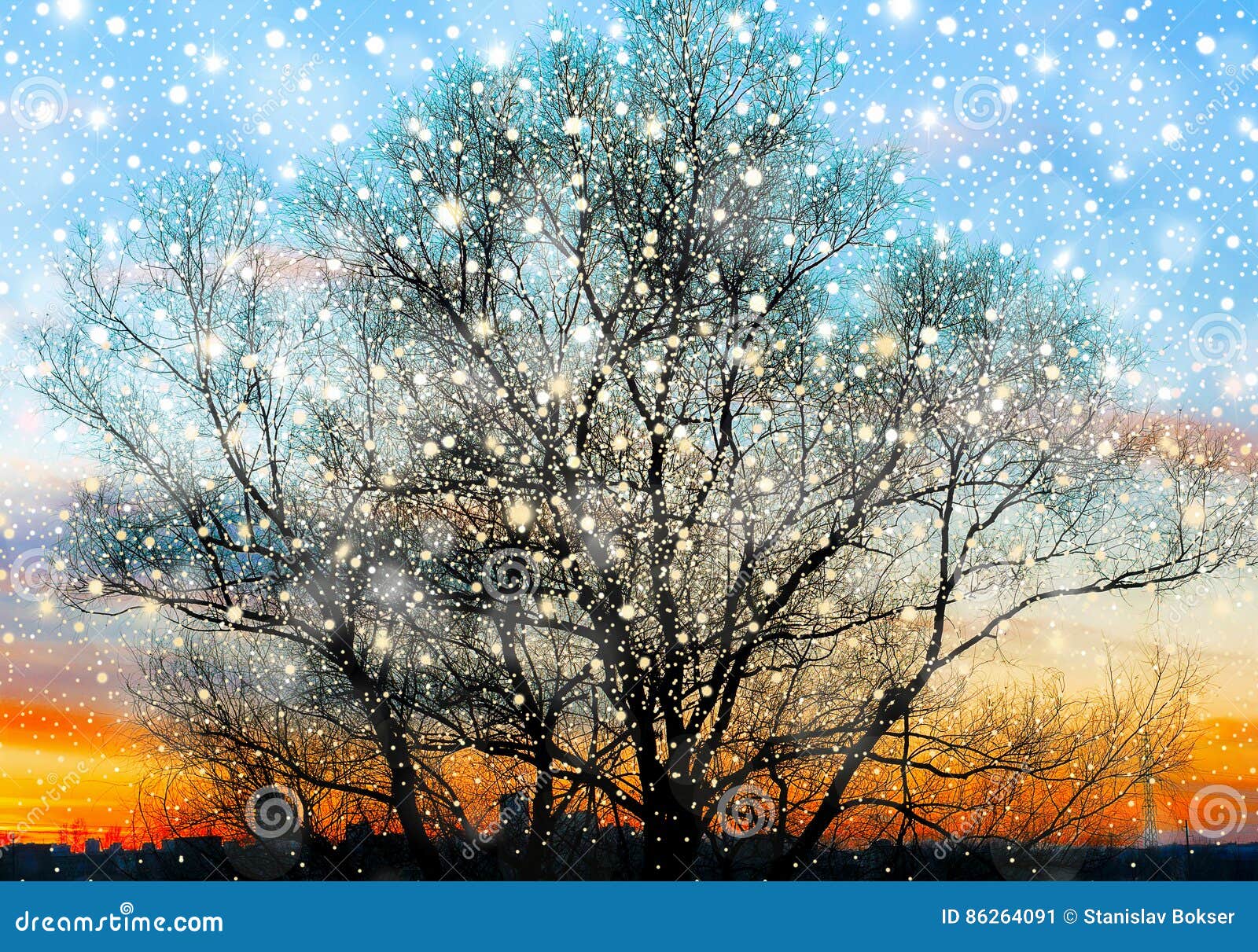 Silhouette of a Big Old Tree on Beautiful Gold Sunset Background Stock ...