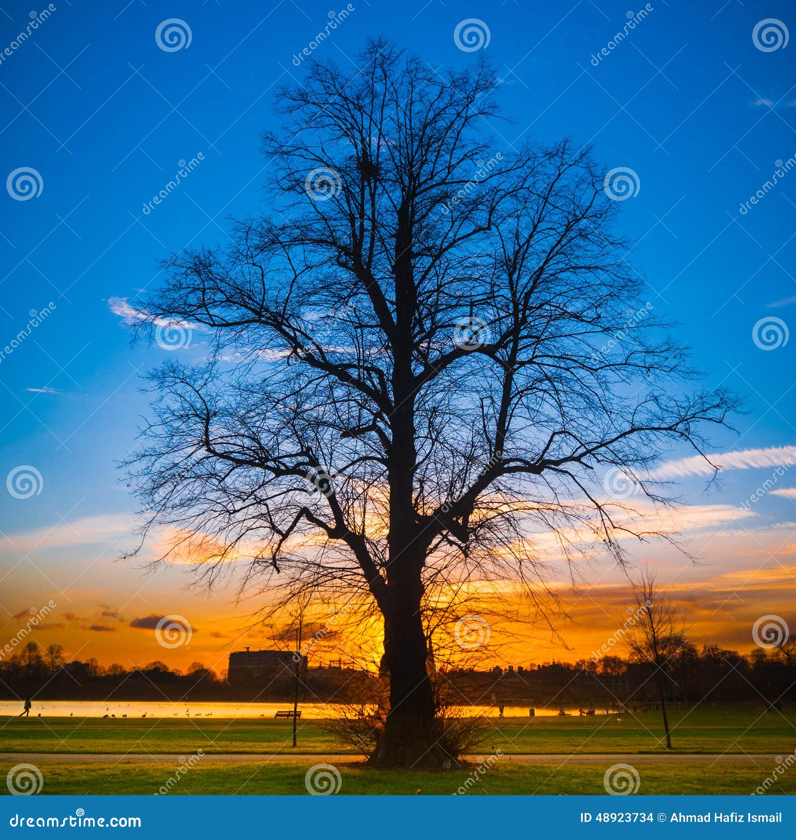 Silhouette of a Big Tree at Sunset Stock Photo - Image of europe, dusk ...