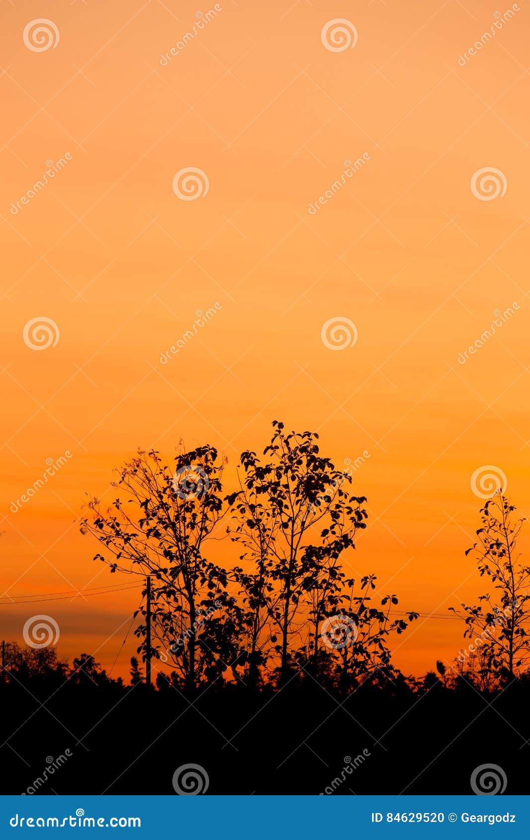 Silhouette of Big Tree at Sunset Stock Photo - Image of blue, park ...