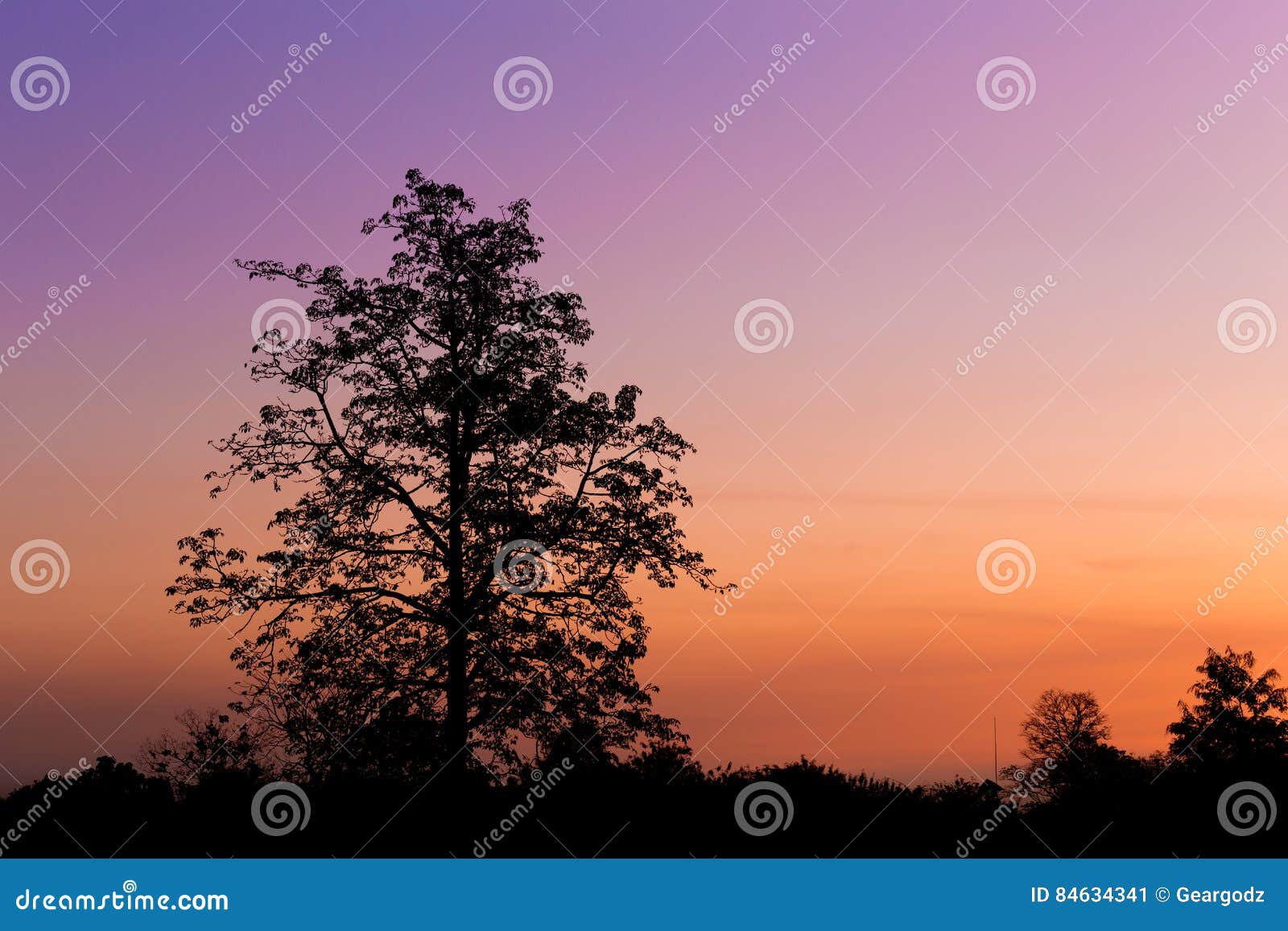 Silhouette of Big Tree at Sunset Stock Image - Image of dark, tree ...