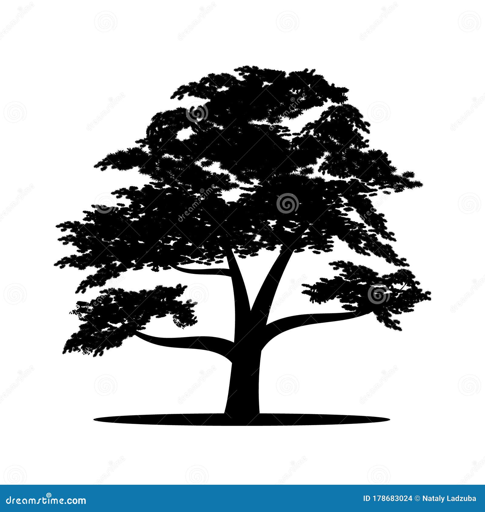 Chestnut Silhouette On A White Background Vector Illustration ...