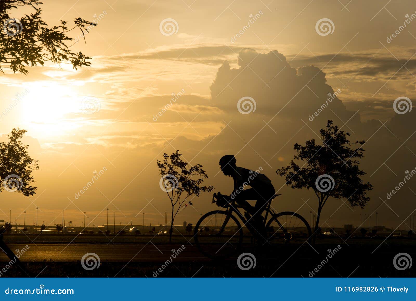 Silhouette Bike Girl At Sunset Stock Photography | CartoonDealer.com ...