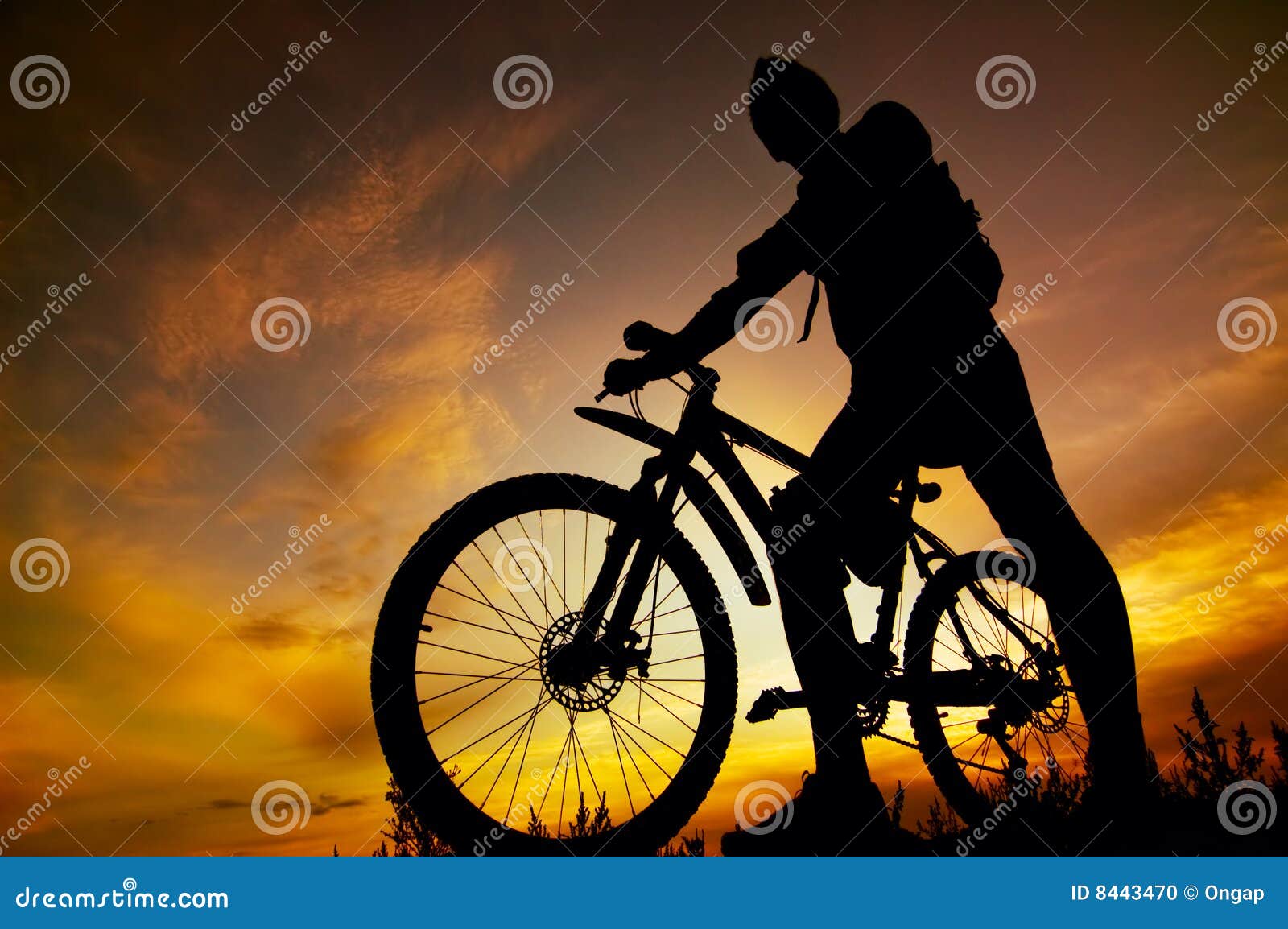 Silhouette of biker stock photo. Image of bike, exercising - 8443470