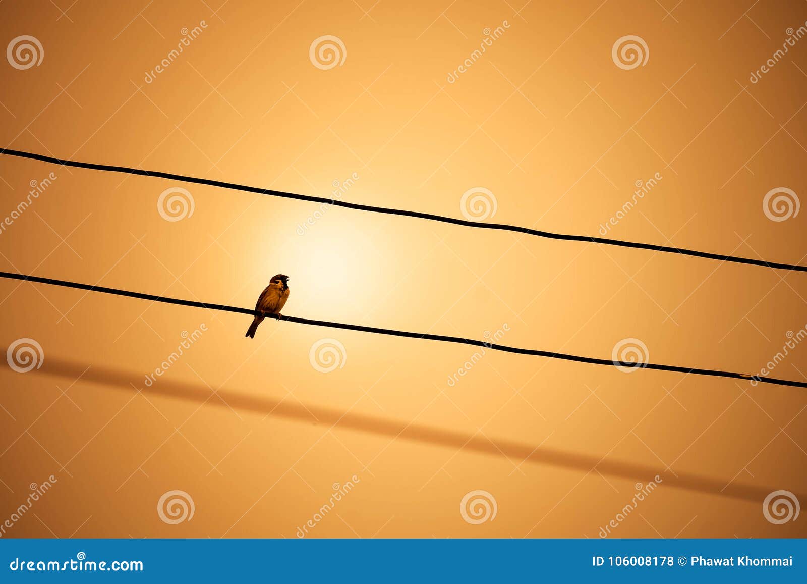 A Bird Alone On Tree Stock Photo | CartoonDealer.com #76412880