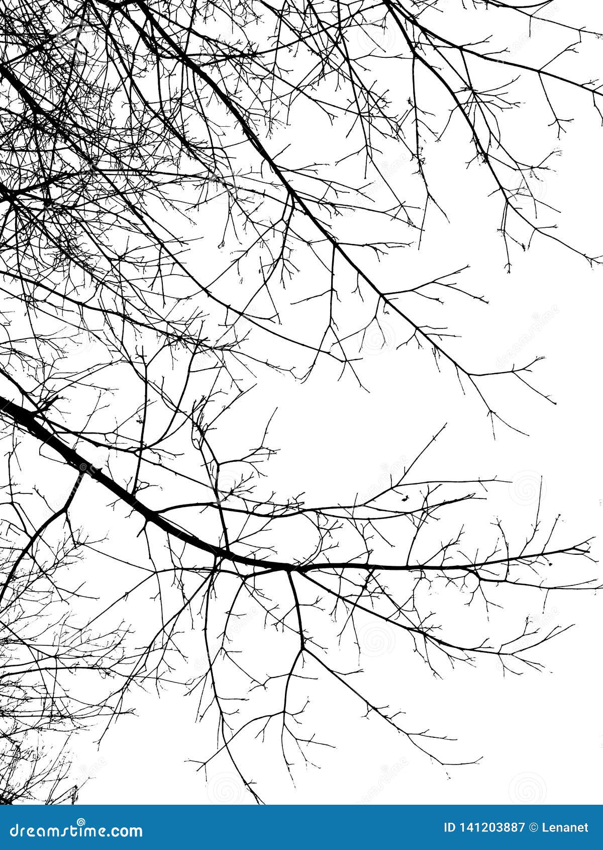 Silhouette black branches stock image. Image of isolated - 141203887