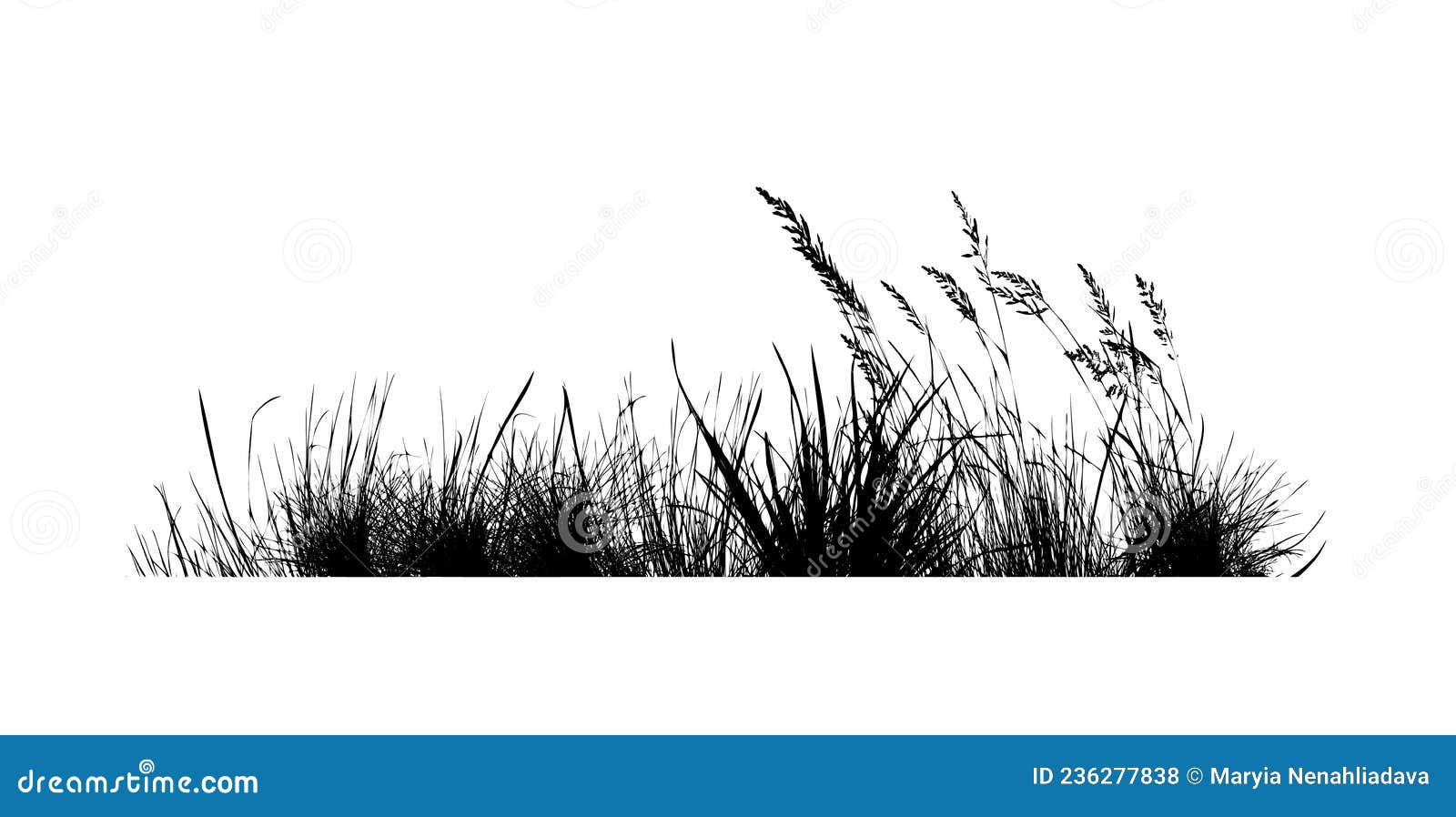 Tall Grass Silhouette Vector