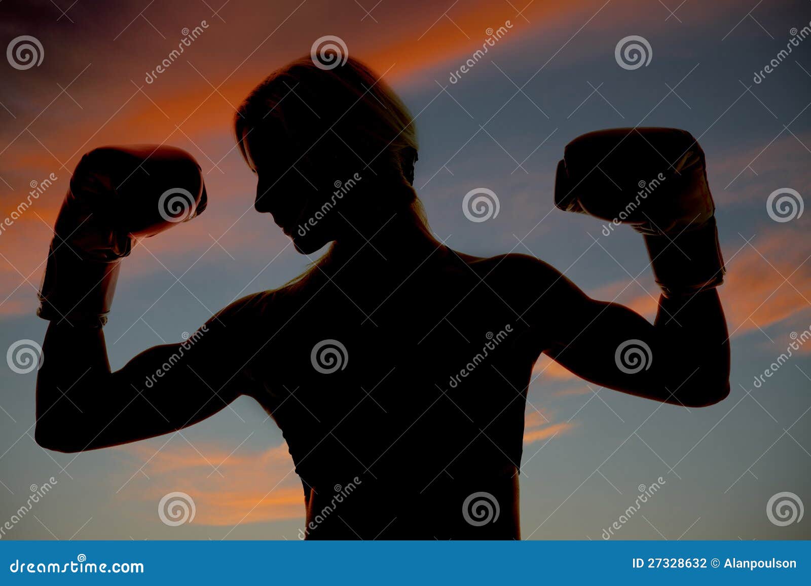 Silhouette boxer flexing stock photo. Image of nature - 27328632