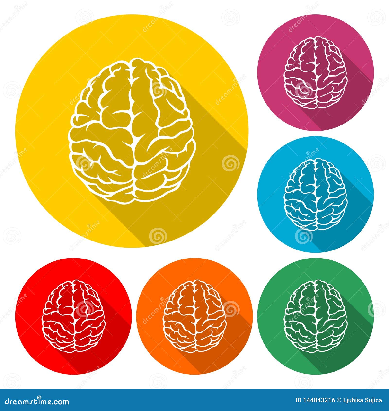 Silhouette of the brain stock vector. Illustration of design - 144843216