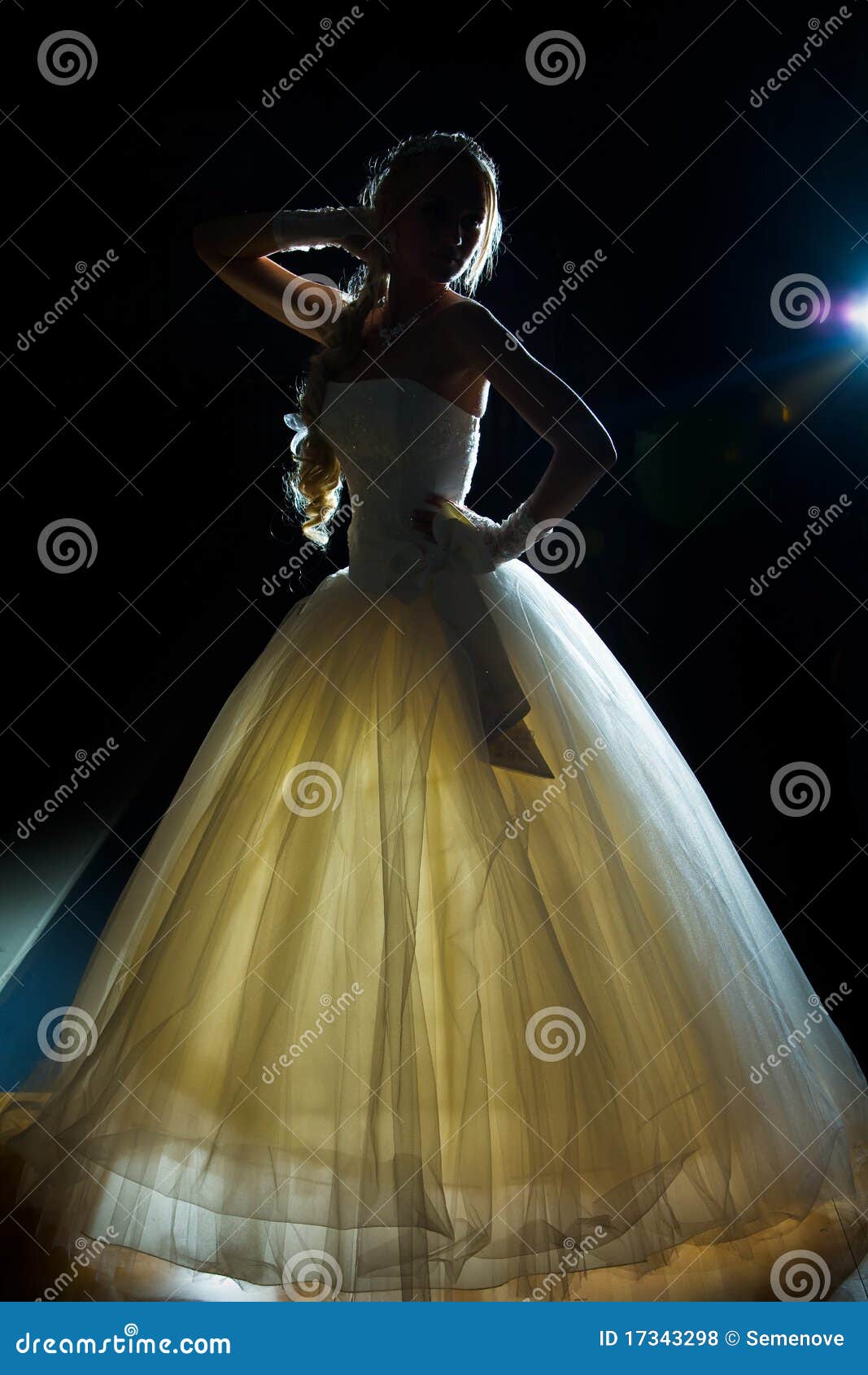 Silhouette of bride stock photo. Image of married, beauty - 17343298