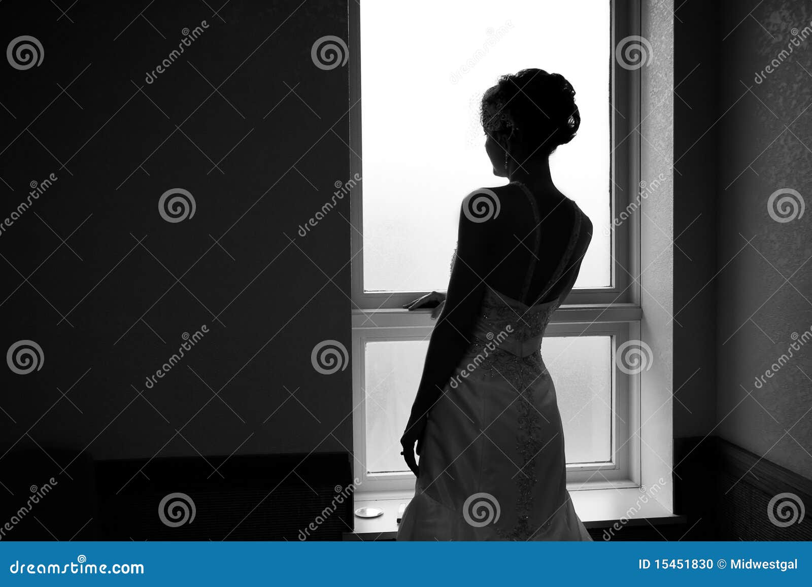 Silhouette of Bride in Black & White Stock Photo - Image of nuptials ...