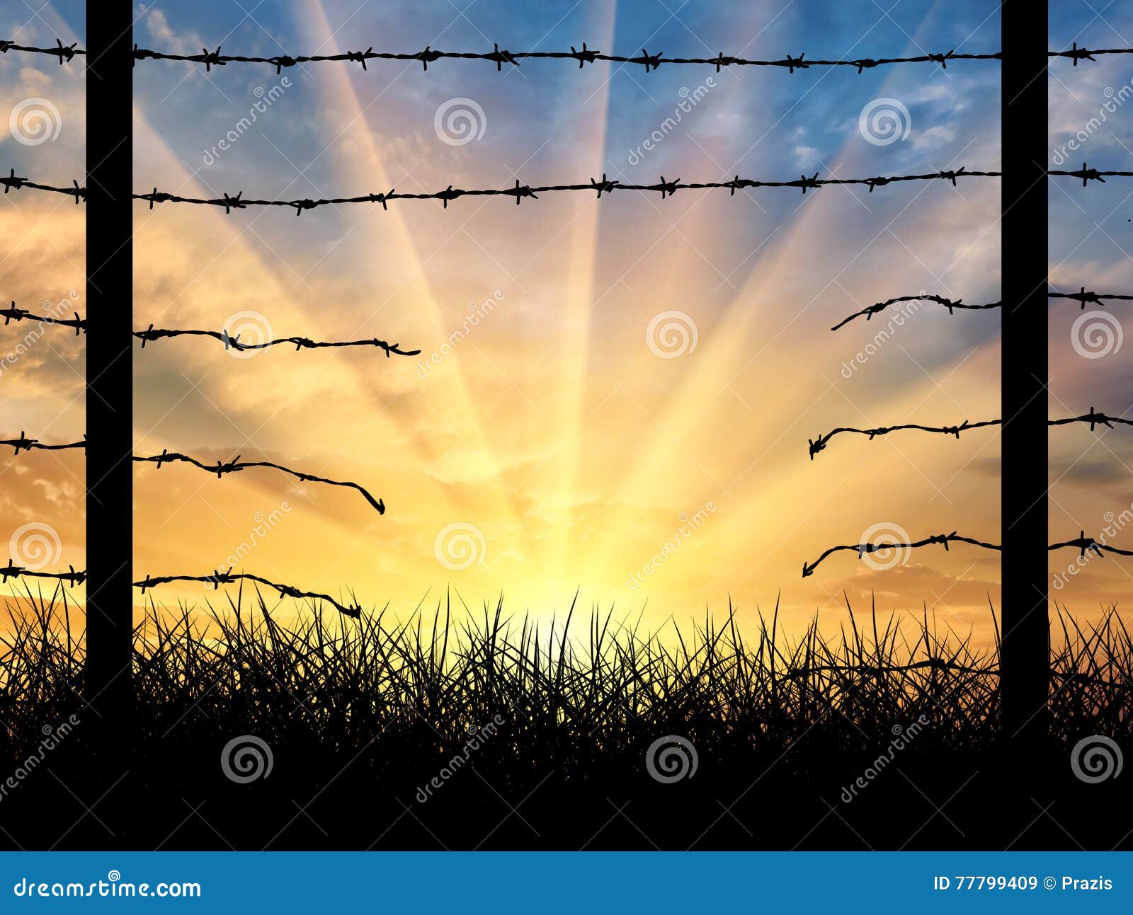 Silhouette of a Broken Border Fence with Barbed Wire Stock Image ...