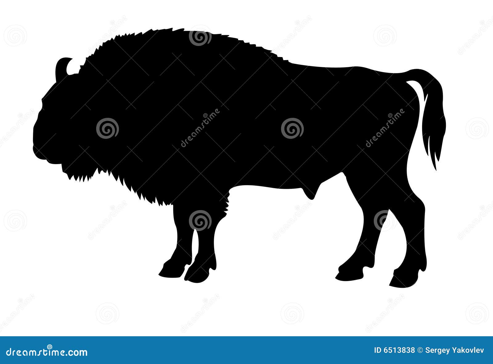 Silhouette of the buffalo stock vector. Illustration of outline - 6513838