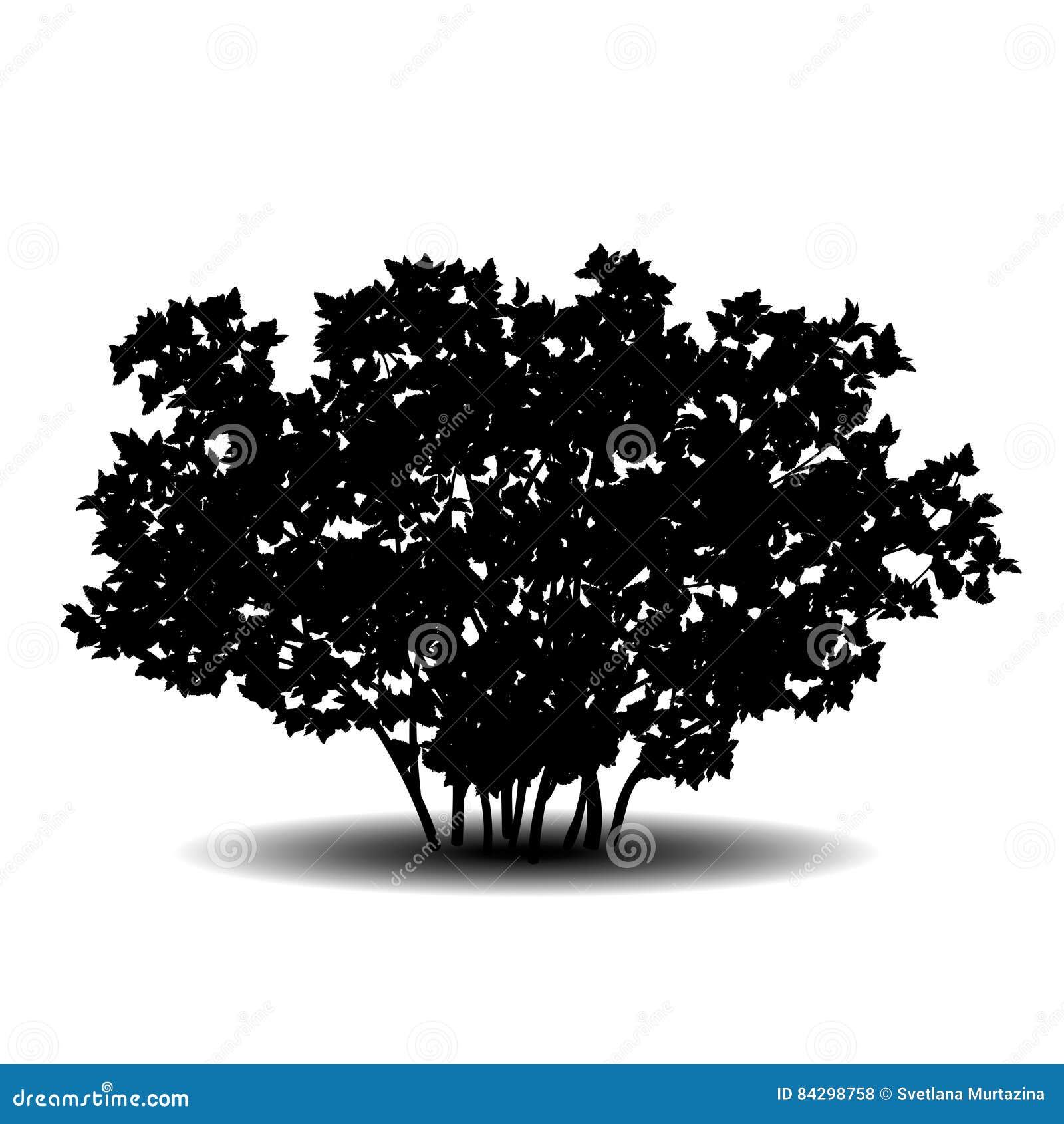 Silhouette Bush With Leaves Isilated On White Background. Lush Bush ...