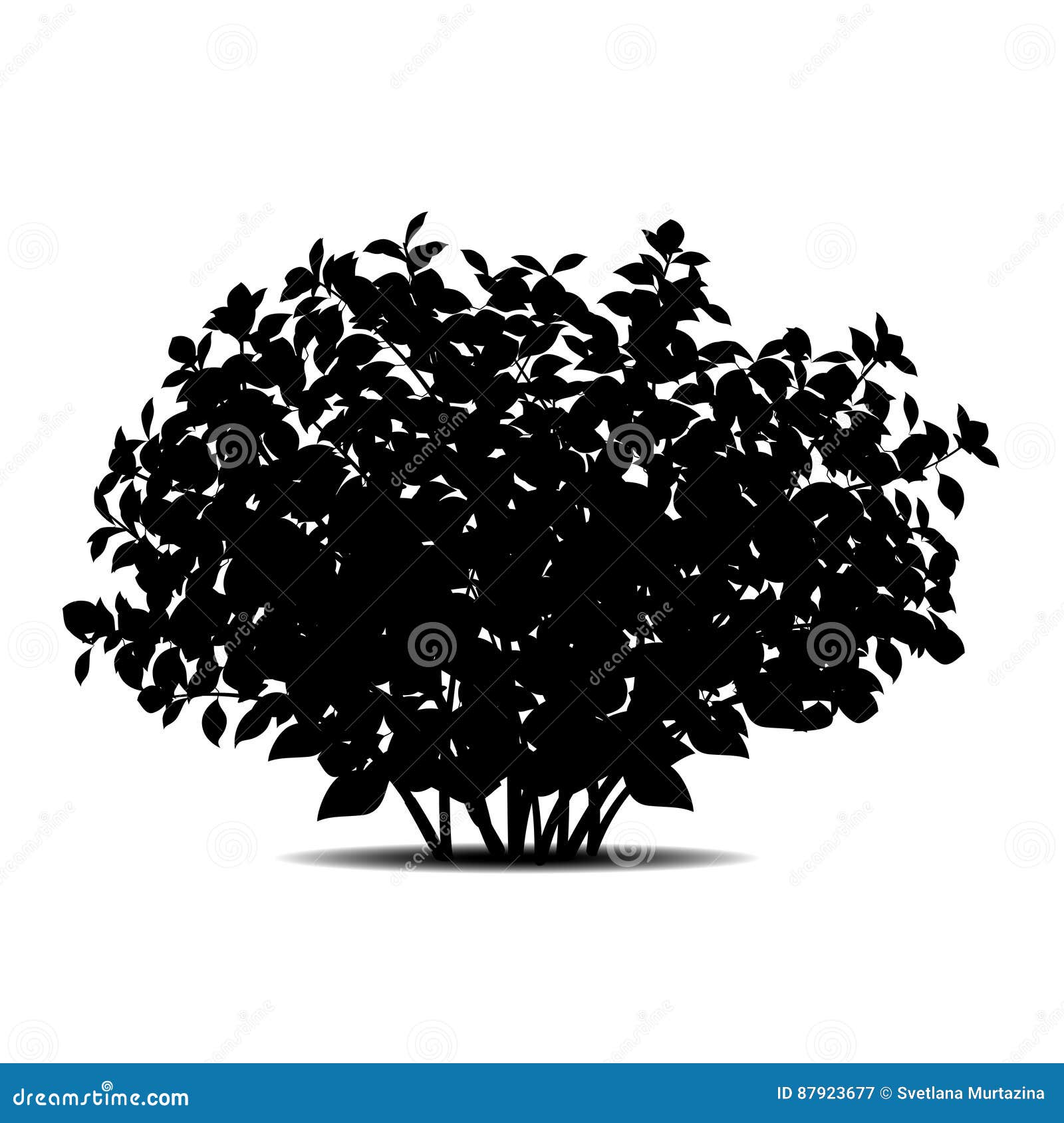 Silhouette Bush With Leaves Isilated On White Background. Lush Bush ...
