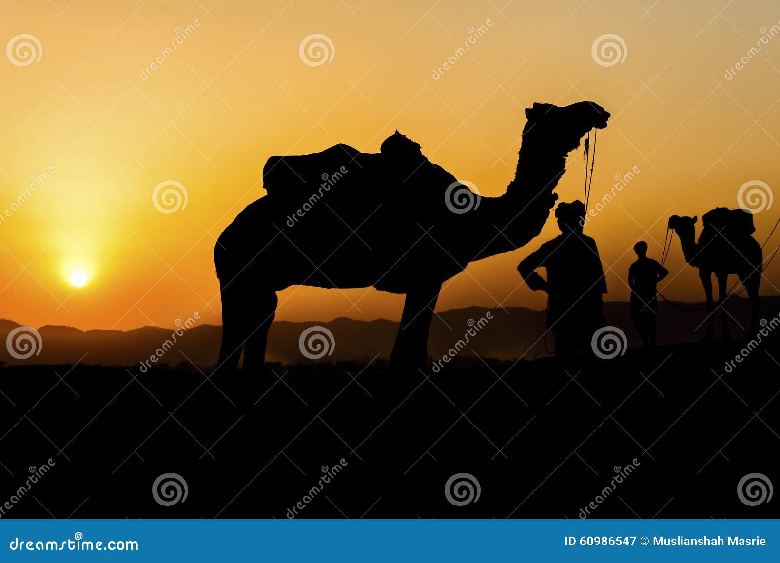 Silhouette of the Camel Trader Across the Sand Dune. Stock Image ...