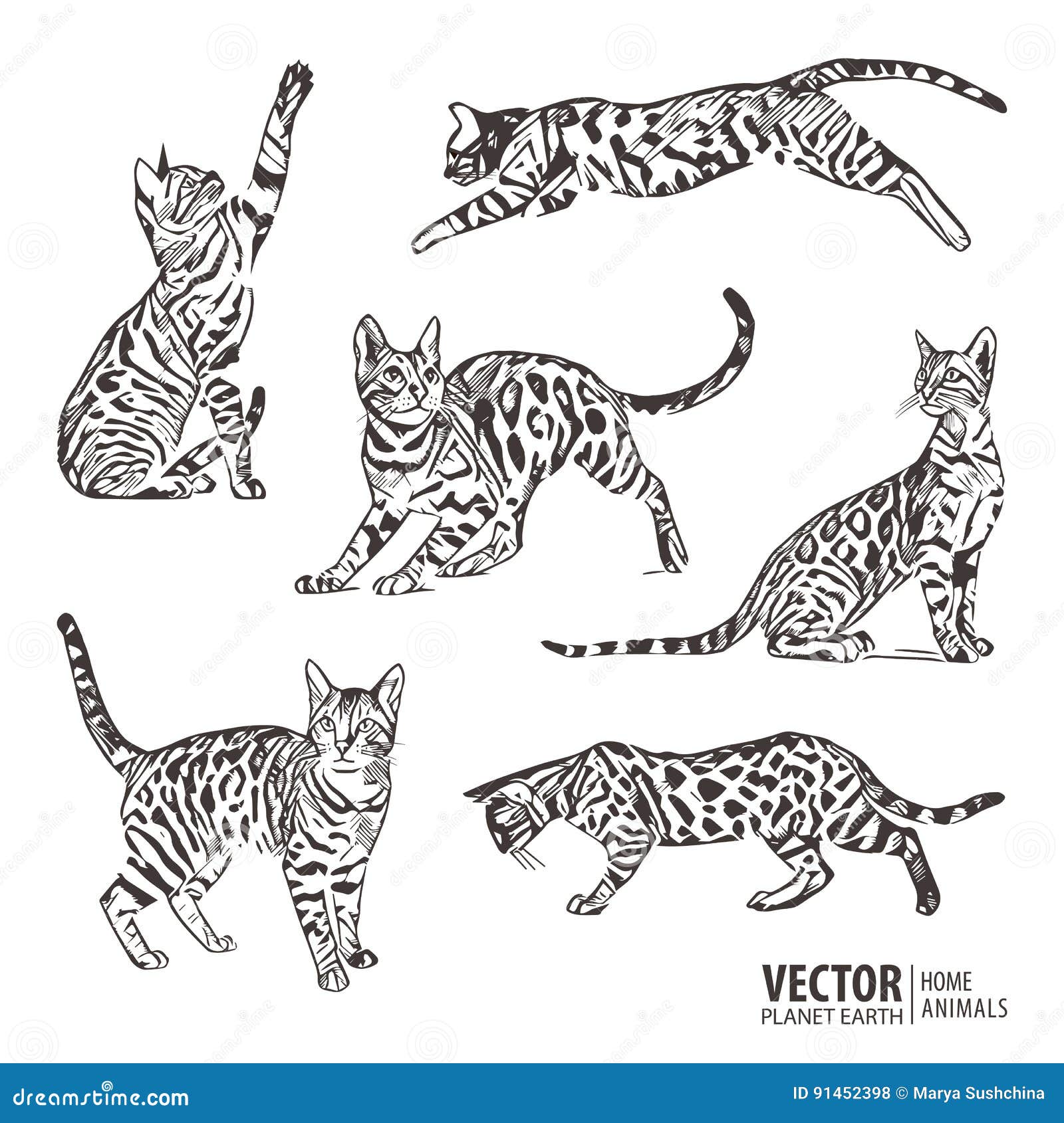 Silhouette Cats Pattern Background. Cat Movement in Many Positions ...