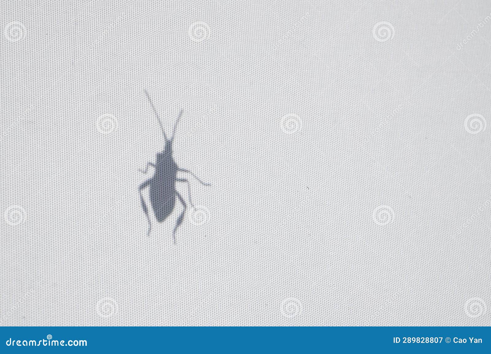 Cockroach Silhouette Against A Glowing Yellow Moon. Insect Under ...