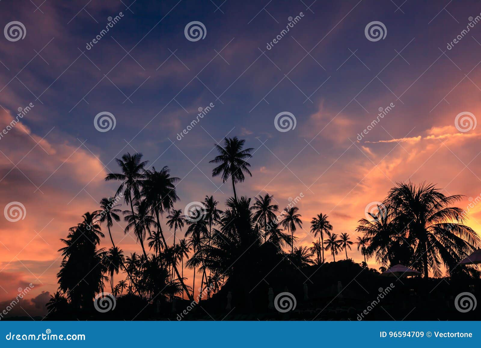 Silhouette of Coconut Trees Against Sunset Sky Background. Stock Image ...