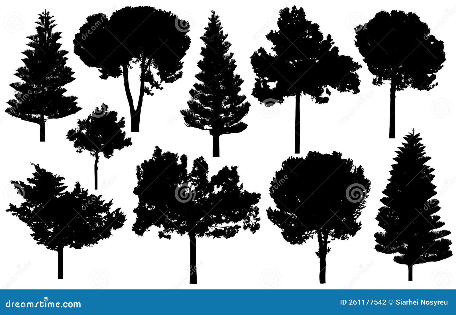 Silhouette of Coniferous Trees, Pine, Cypress. Vector Illustration ...