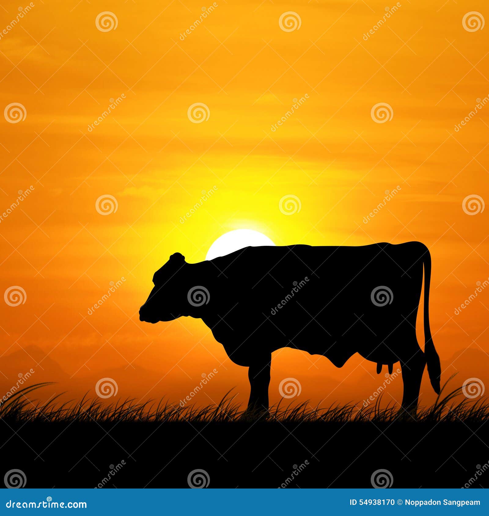 Silhouette Cows Standing on a Meadow at Sunset. Stock Illustration ...