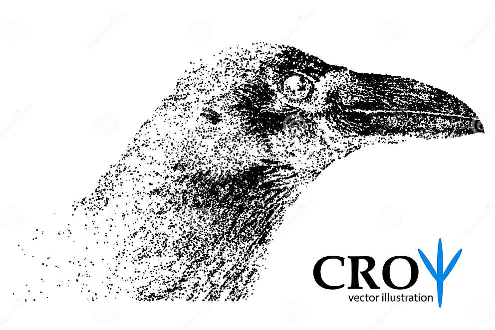 Silhouette of a Crow from Particles. Stock Illustration - Illustration ...