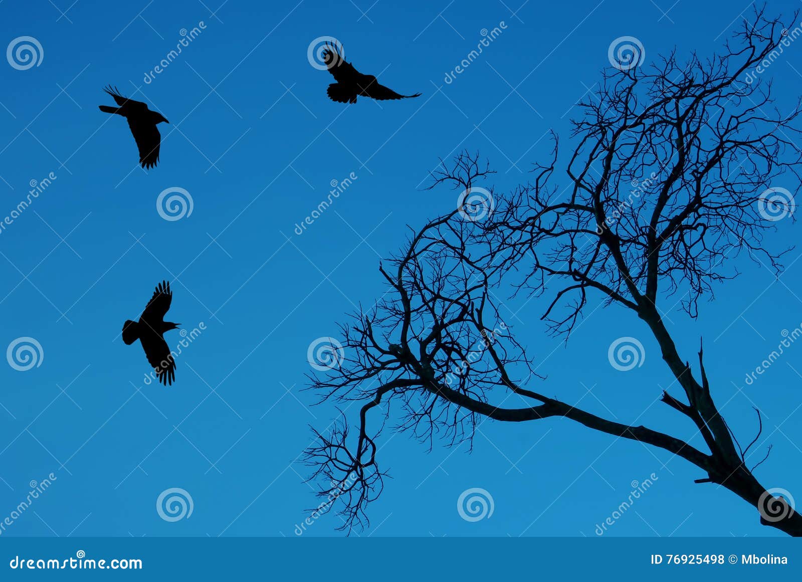 Silhouette of a Crows Flying Against Bright Sky Stock Photo - Image of ...