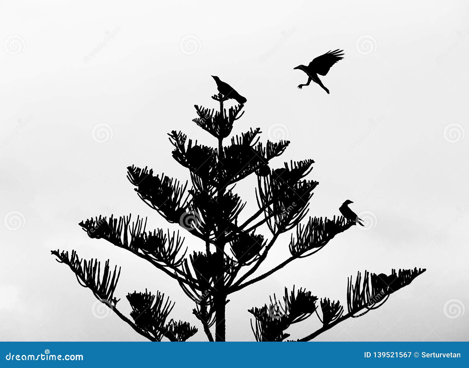Silhouette Crows Over the Tree Branches. Stock Image - Image of crow ...