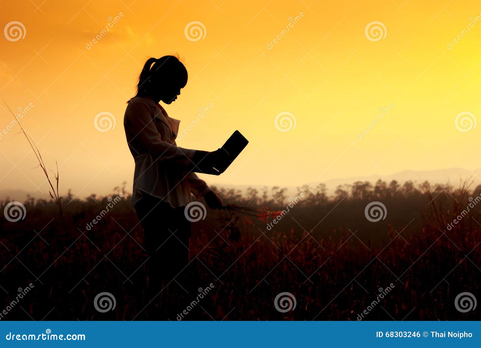 A Silhouette of a Cute Girl with Computer Stock Photo - Image of girl ...