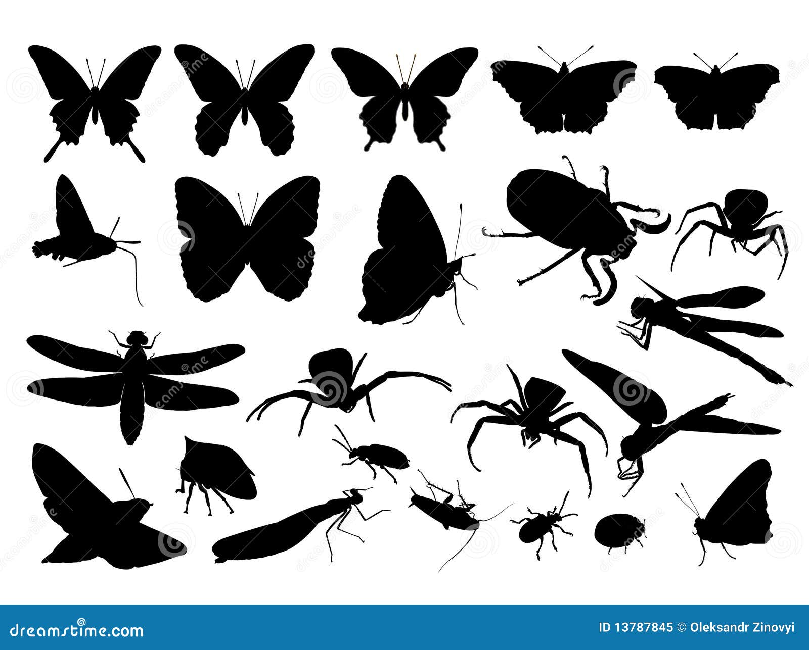 Silhouette d'insecte illustration stock. Illustration du cancrelat ...