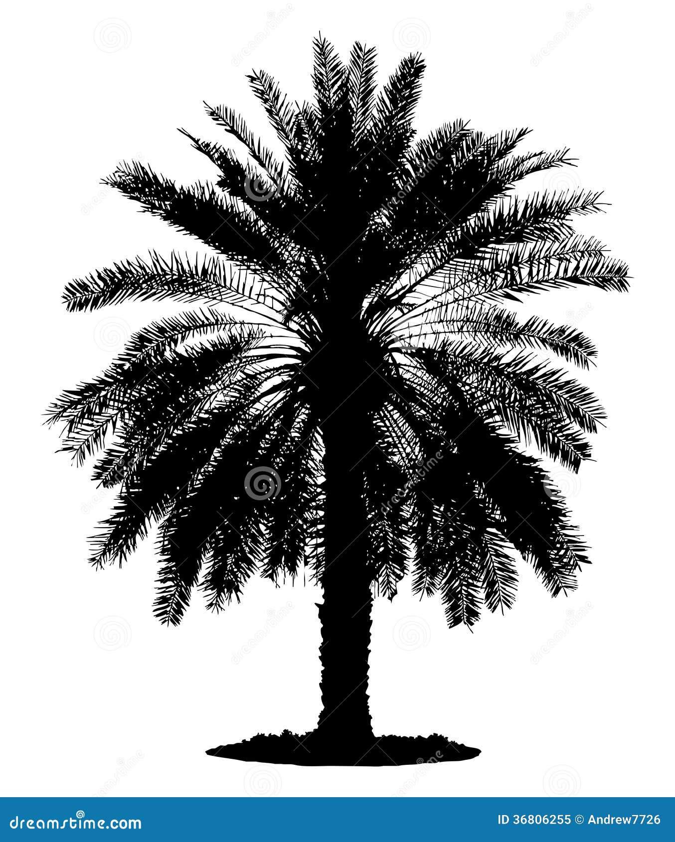 Silhouette D'une Paume Solitaire Illustration Stock - Illustration du ...