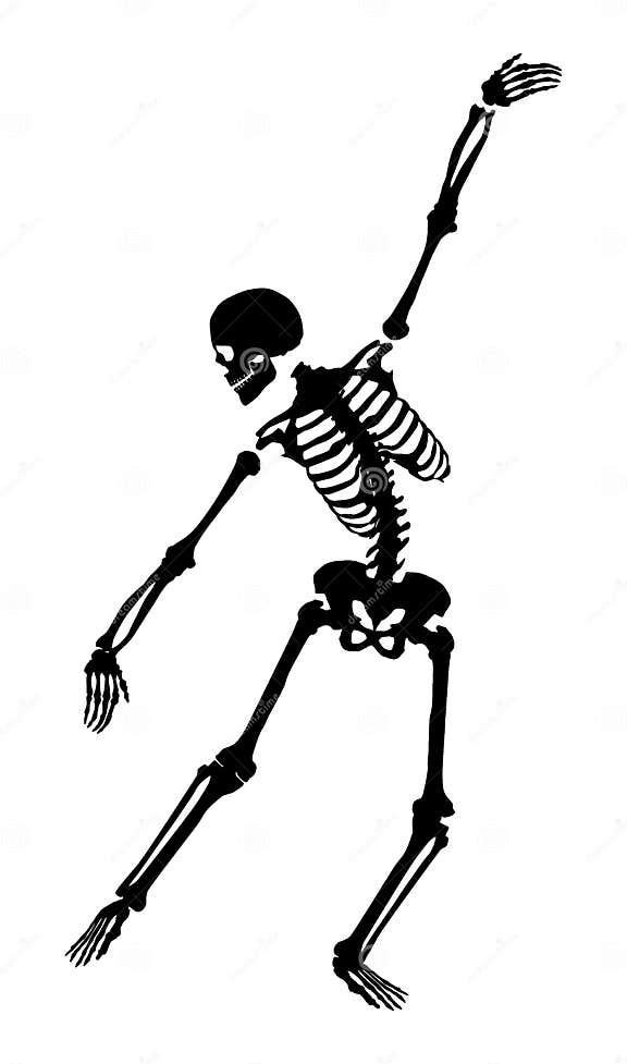 Silhouette Of A Dancing Skeleton Stock Vector Illustration Of Party
