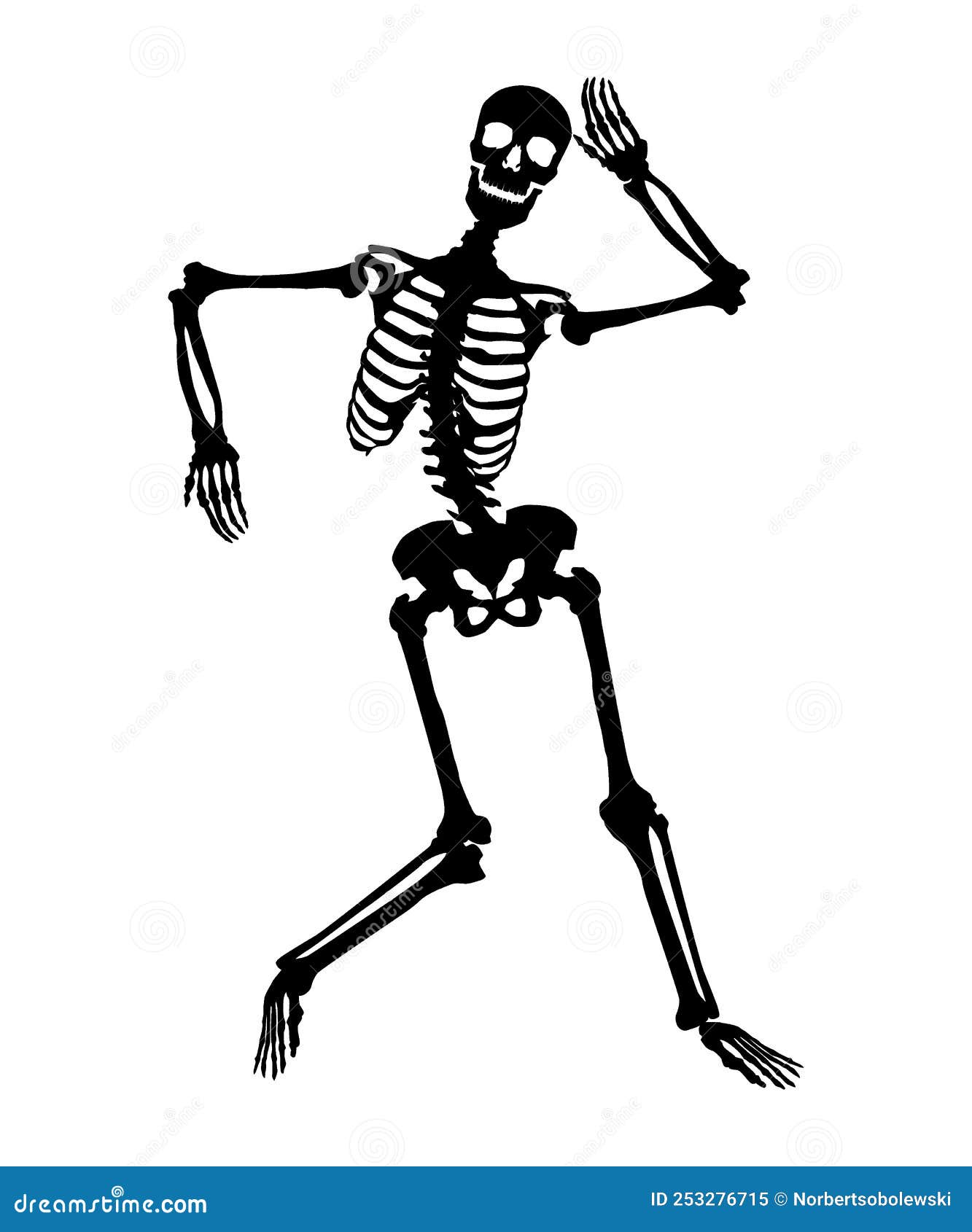 Dancing Skeleton. Day Of Dead In Mexico. Skull In Sombrero Isolated ...