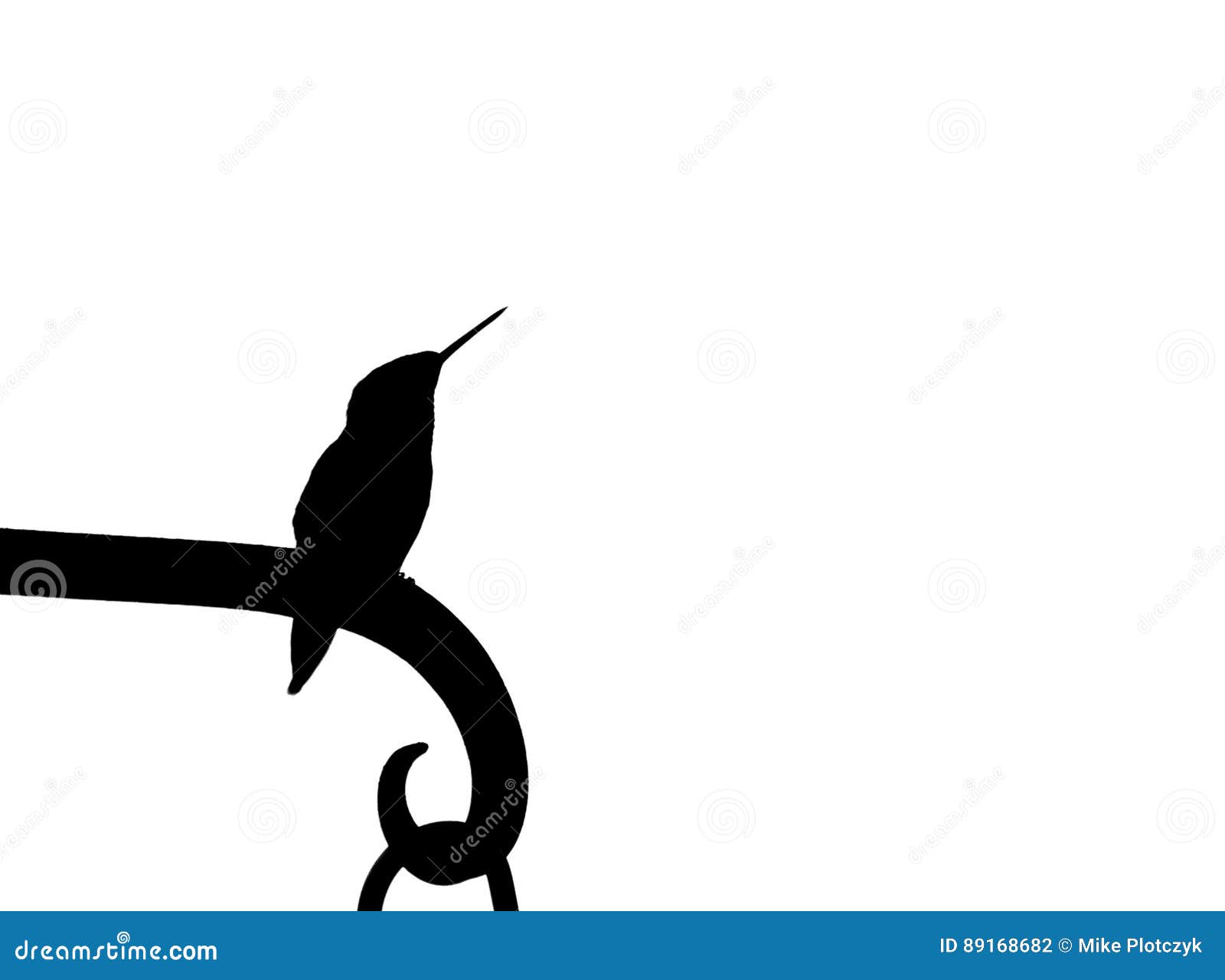 Silhouette de colibri illustration stock. Illustration du colibri ...